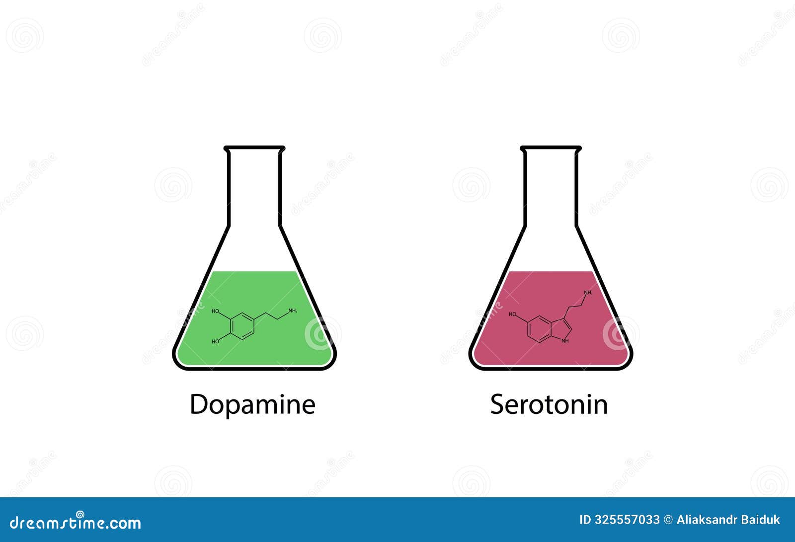 Conical Erlenmeyer Flasks Containing Serotonin and Dopamine. Chemical ...