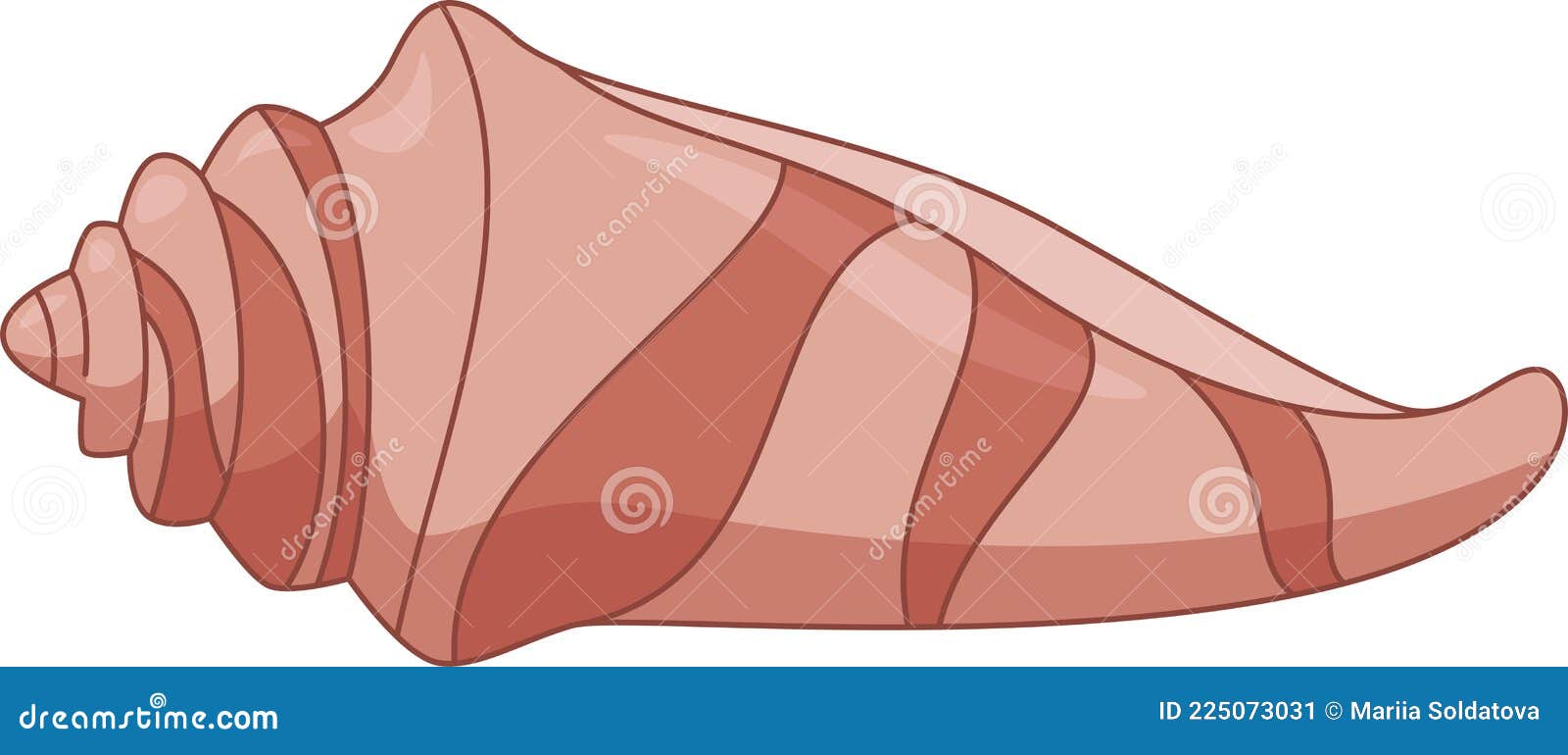 Conical Long Spiral Shell with Wavy Lines Stock Vector - Illustration ...