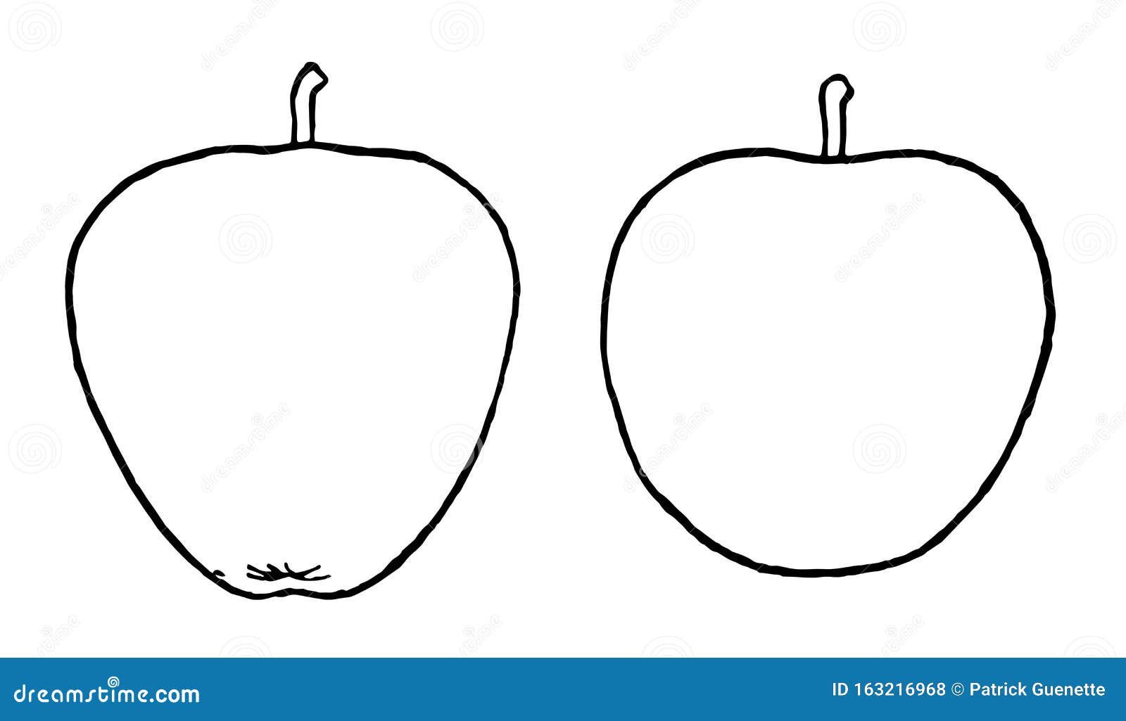 Conical and Ovoid Forms of Apple Vintage Illustration Stock Vector ...