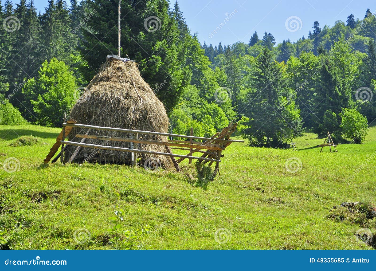 Conical pile stock image. Image of pile, plant, grass - 48355685