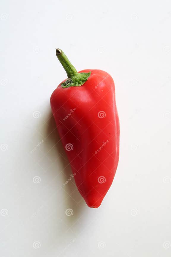 A Conical Red Pepper on a White Background Stock Image - Image of spicy ...