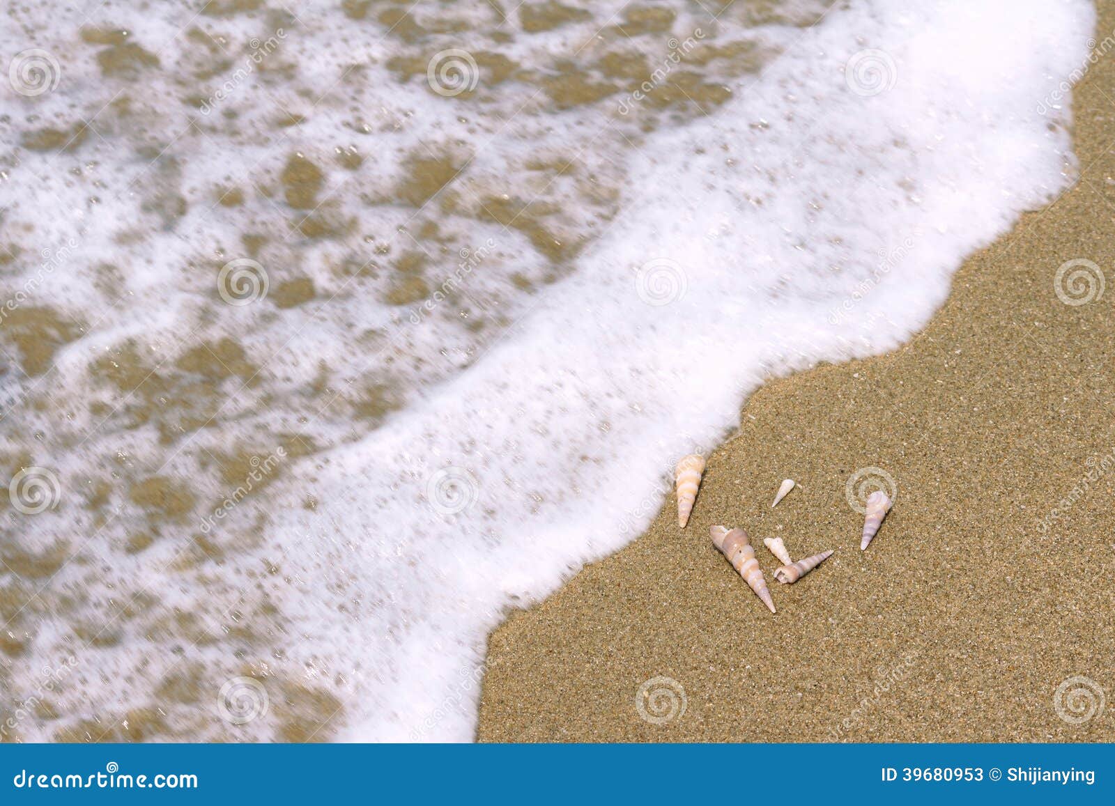 Conical sea snail stock image. Image of sandbeach, coniform - 39680953