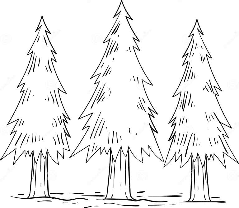 Conical Trees. Vector Illustration Decorative Design Stock Vector ...