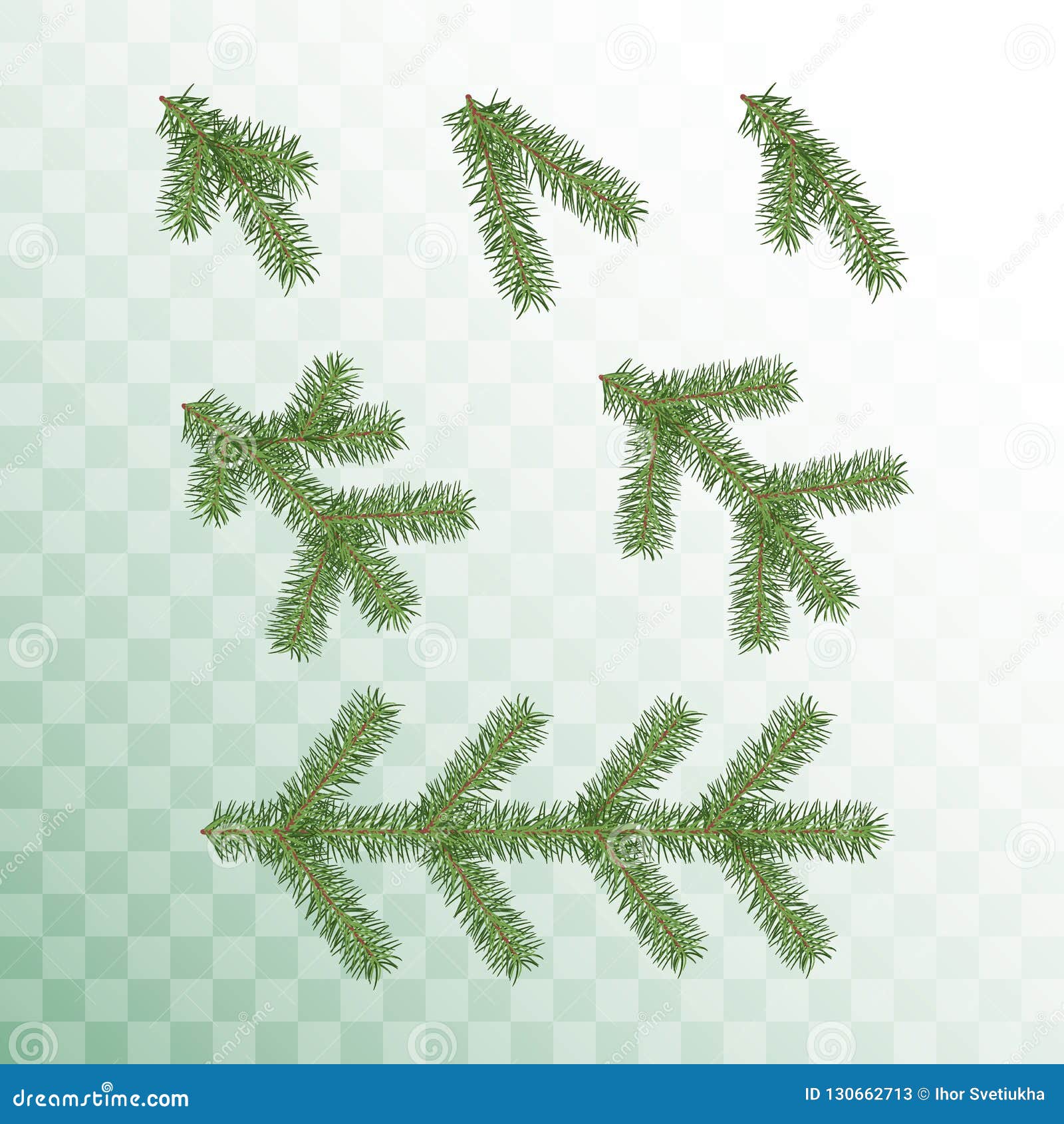 Conifer Branches Set. Green Branches Of A Christmas Tree Isolated On ...