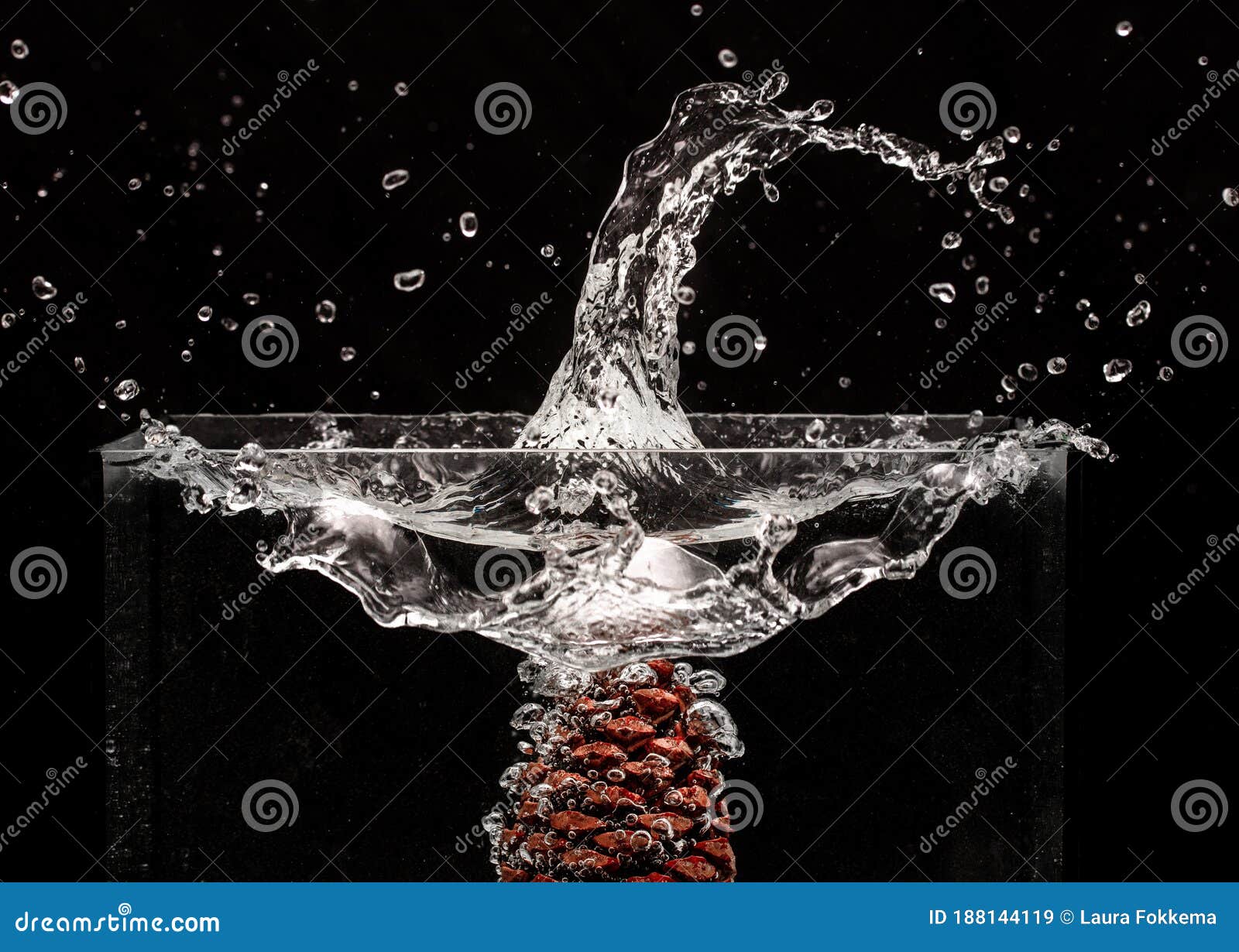 Conifer Cone Splash Photography: on a Black Background Stock Image ...