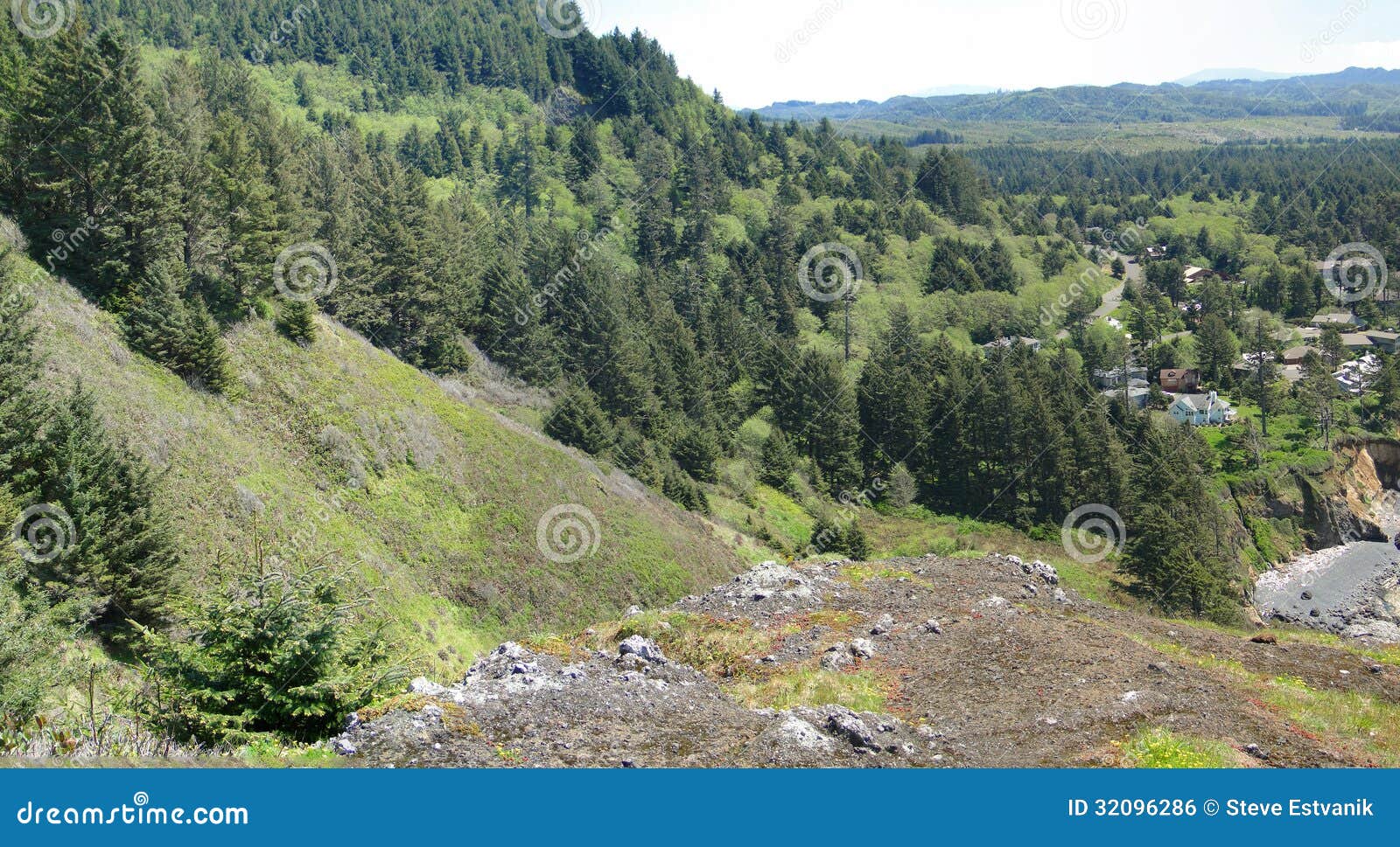 Conifer Forests on Coastal Mountains Stock Photo - Image of forests ...