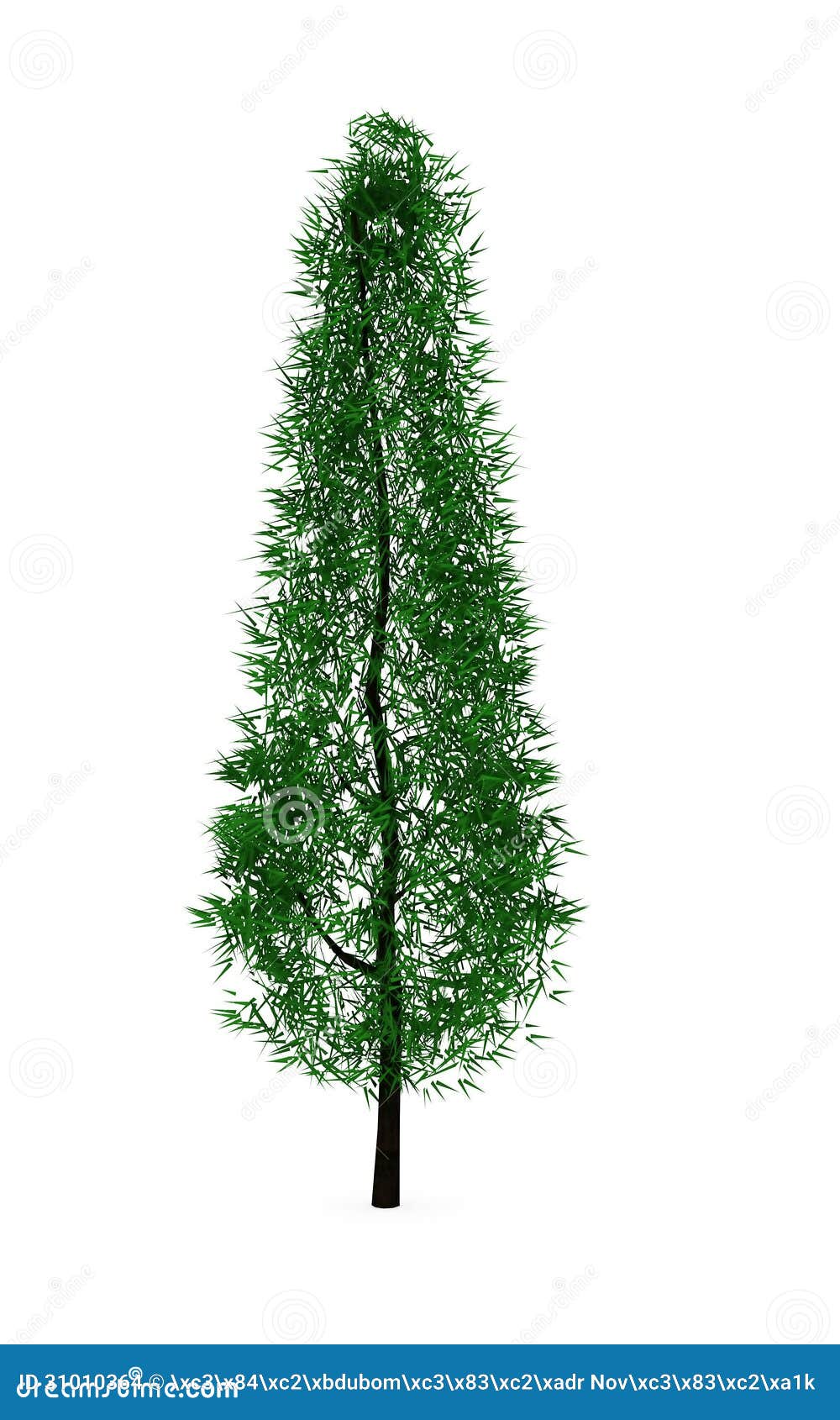 Conifer Pine Tree Silhouette Set Vector Illustration | CartoonDealer ...