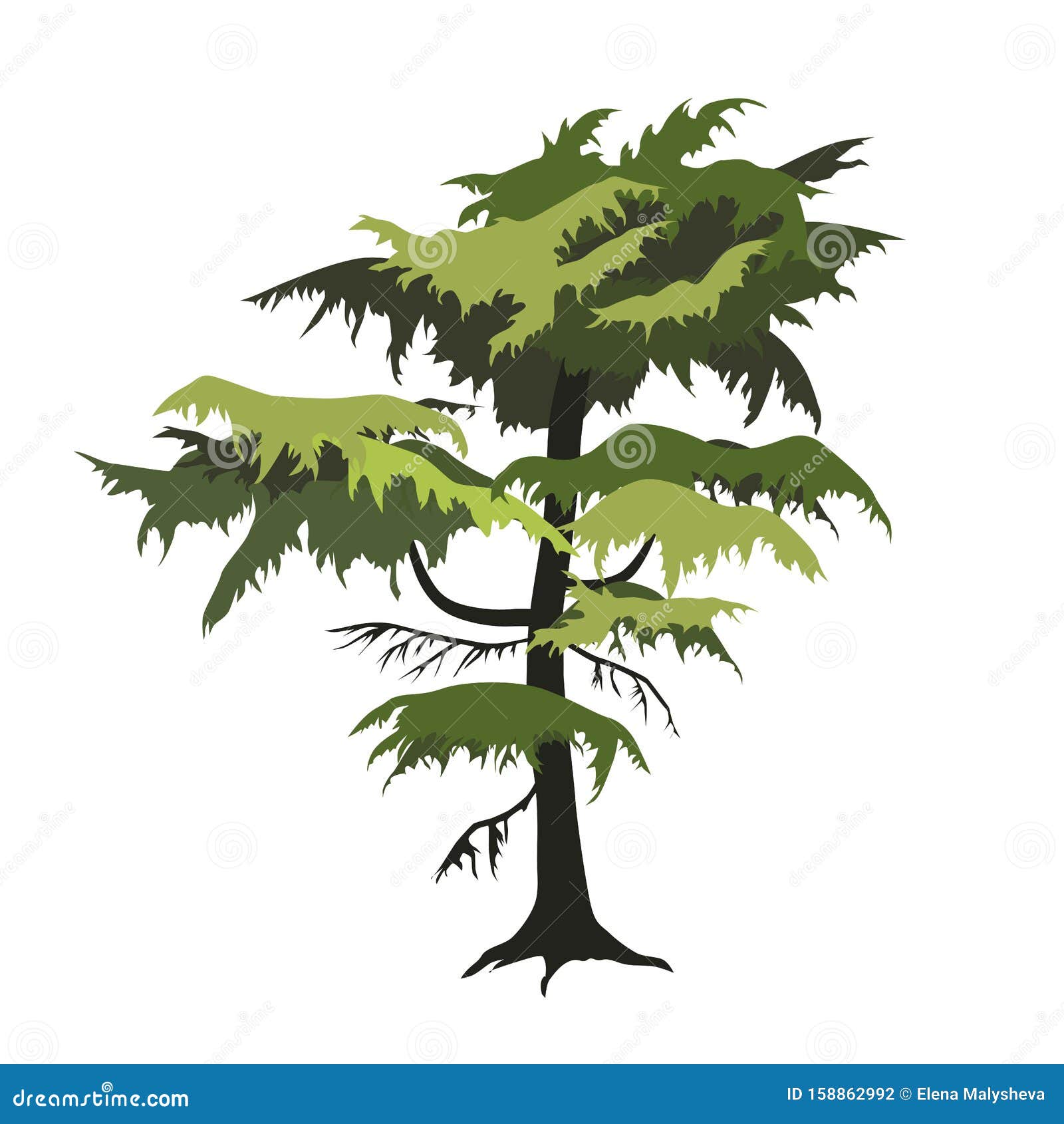 Conifer Tree in Flat Style Isolated on White Background Stock ...