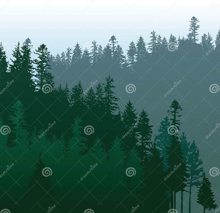 Coniferous forest stock vector. Illustration of tree - 22552262