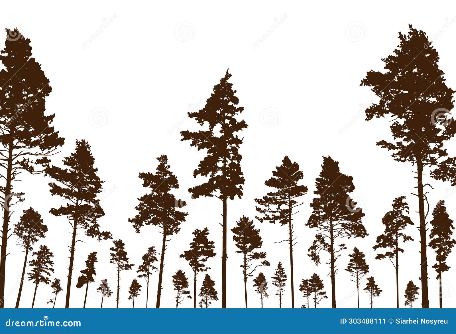 Coniferous Forest, Silhouette of Pine Trees, Beautiful Landscape ...