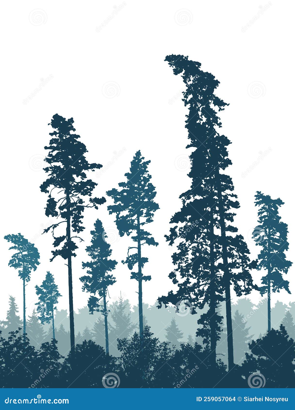 Coniferous Forest, Silhouette of Pine Trees, Vertical Landscape. Vector ...