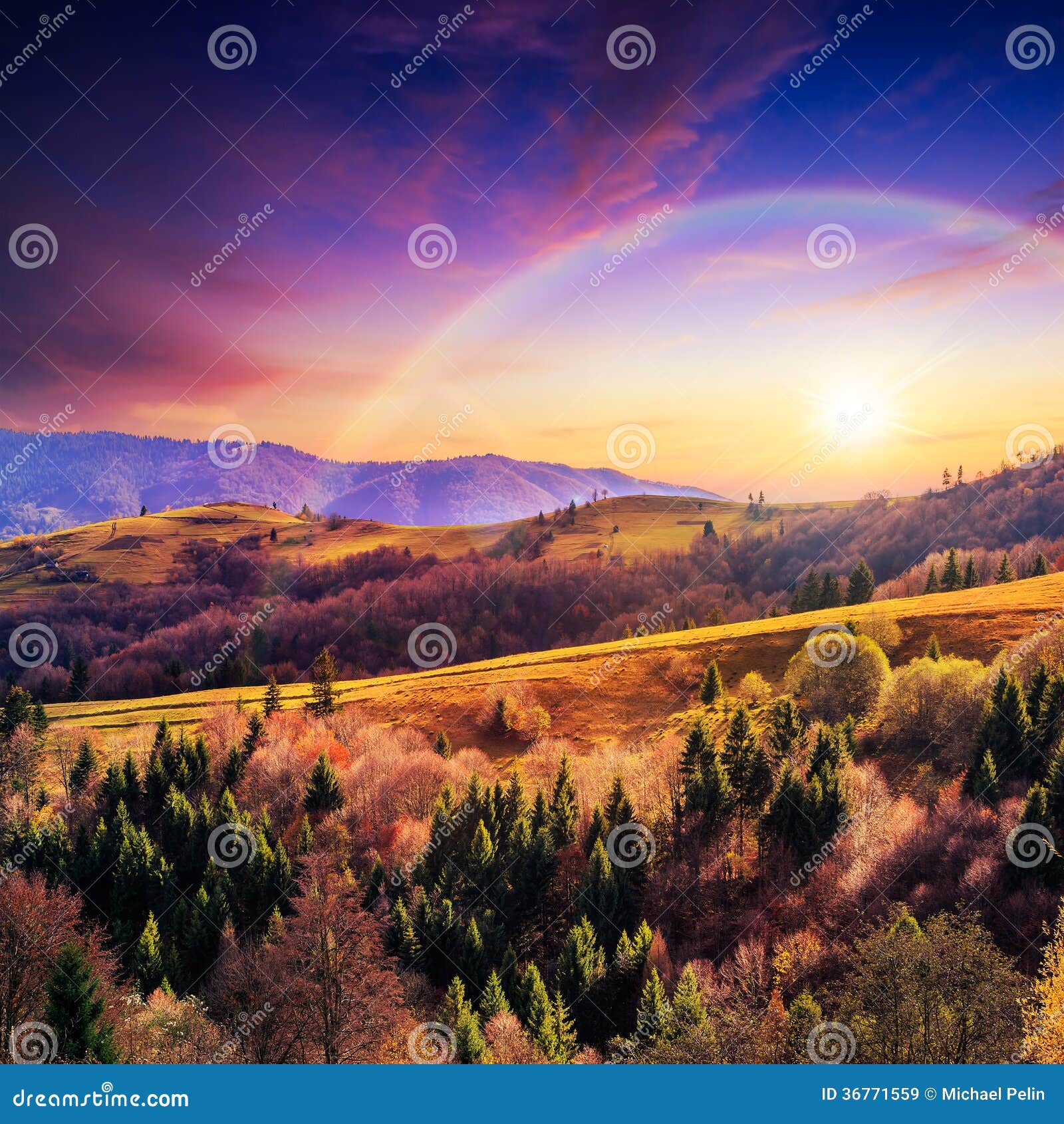 Coniferous Forest on a Steep Mountain Slope at Sunset Stock Image ...