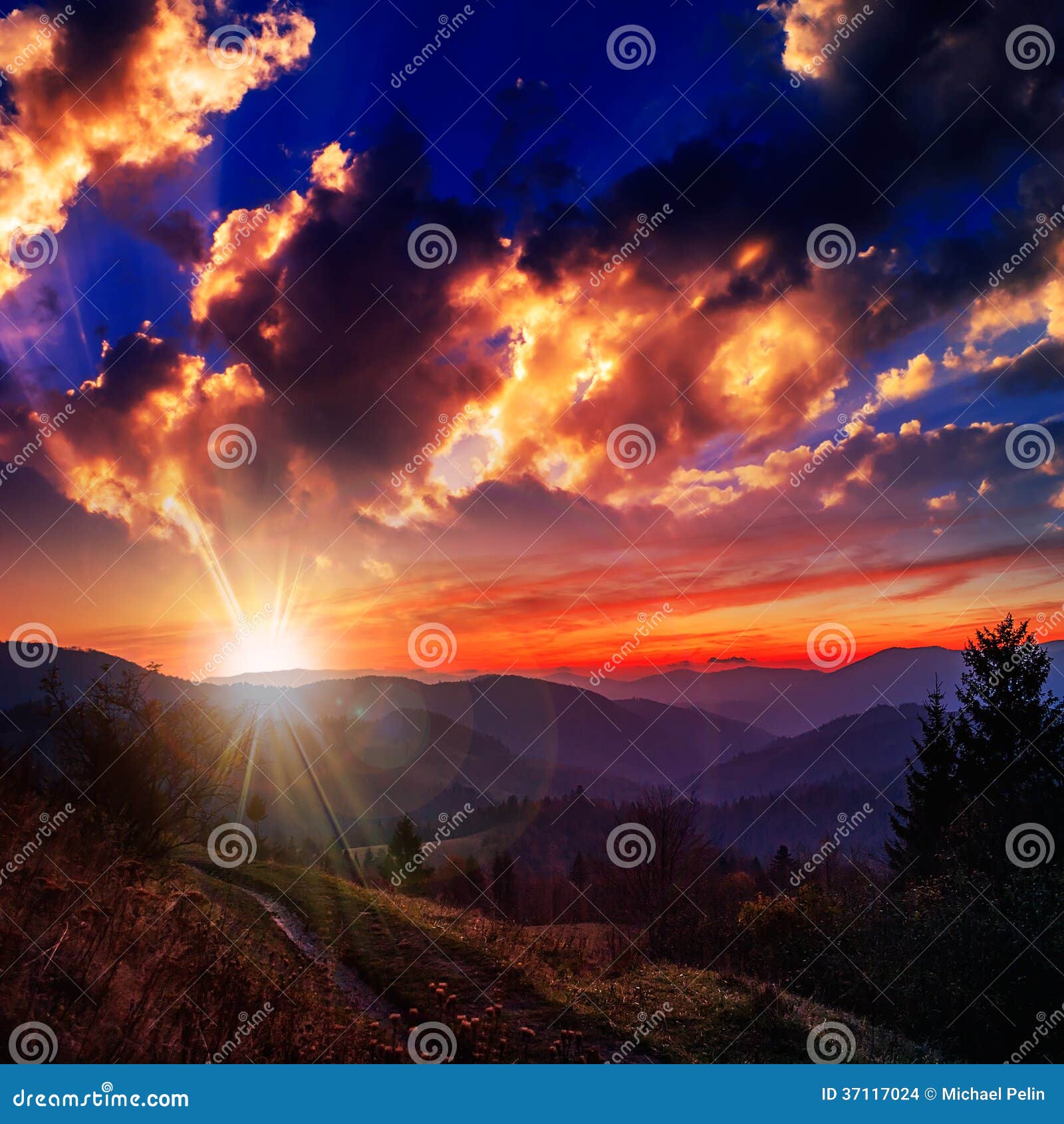 Coniferous Forest on a Steep Mountain Slope at Sunset Stock Photo ...