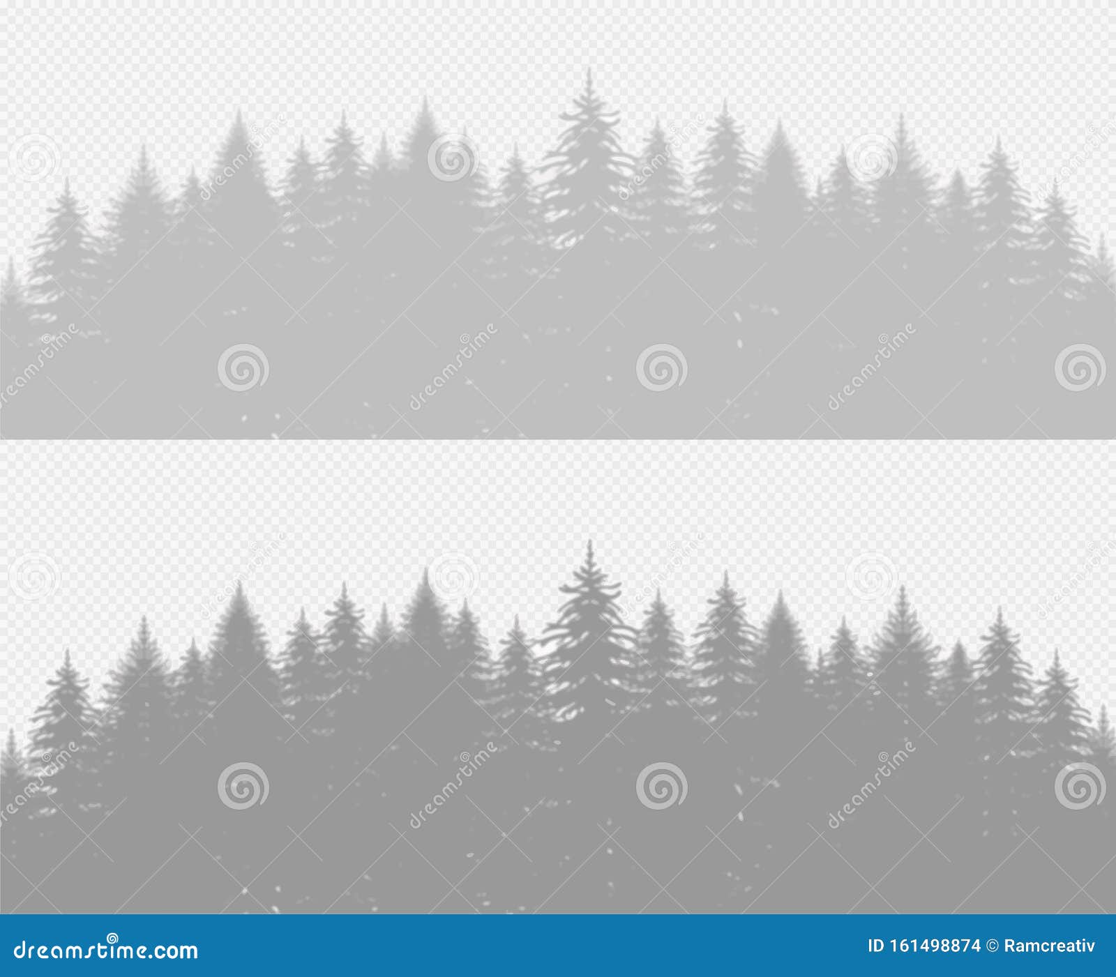 Coniferous Pine Forest with Fir Trees. Transparent Plant Shadow Effect ...