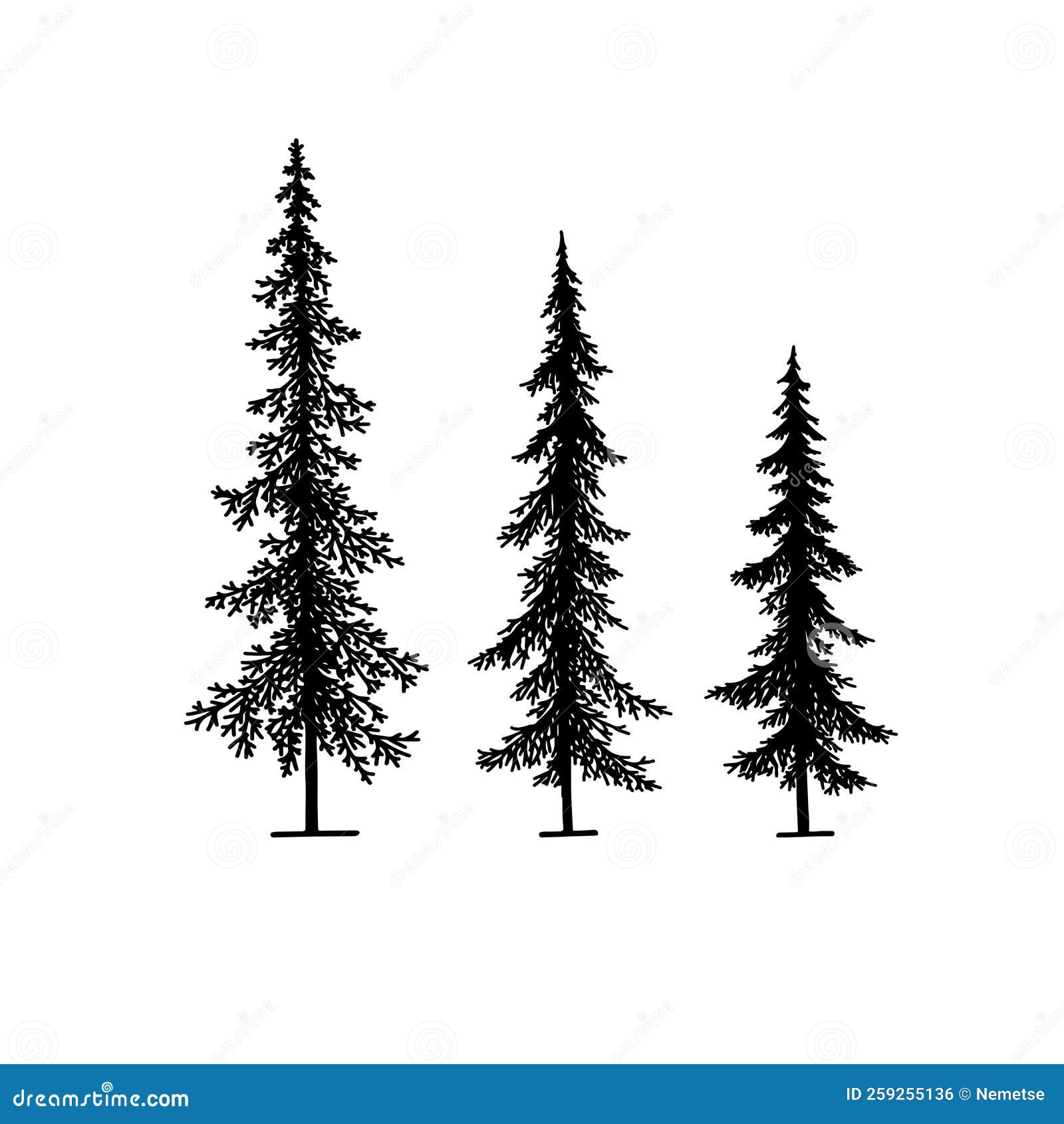 White Spruce Silhouette