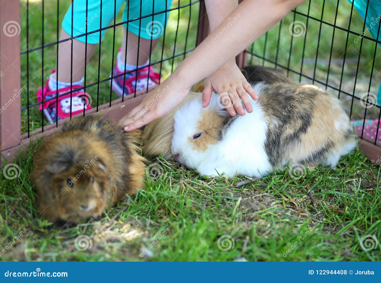 Coniglietto Timido Commovente Dei Bambini Fotografia Stock - Immagine ...