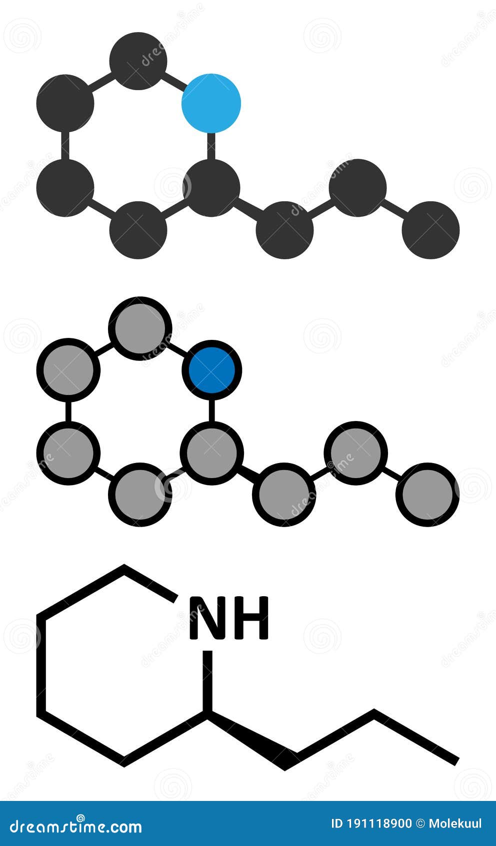 Coniine Herbal Toxin Molecule. Present in Poison Hemlock (Conium ...