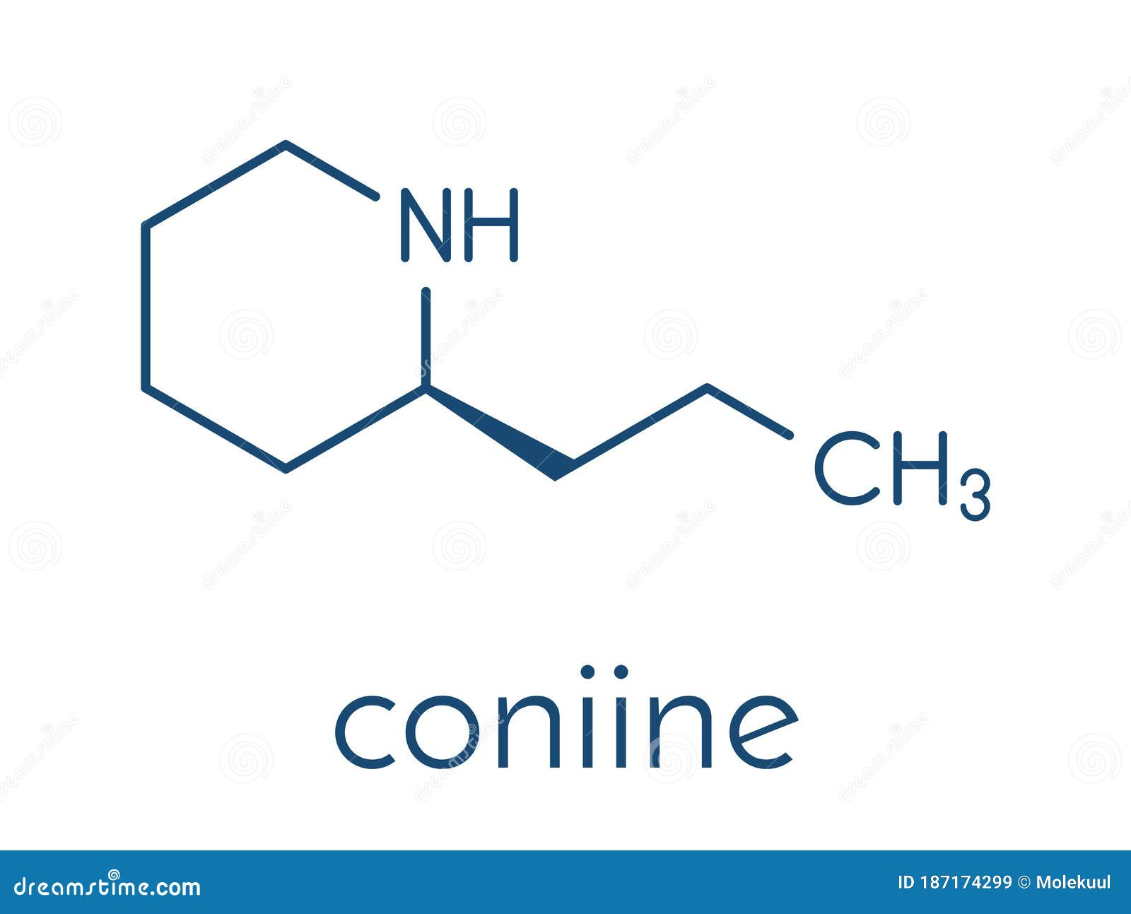 Coniine Herbal Toxin Molecule. Present in Poison Hemlock Conium ...