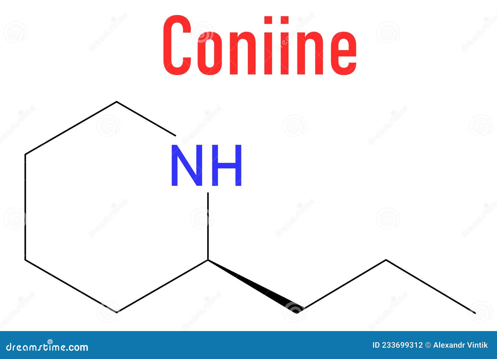 Coniine Herbal Toxin Molecule. Present in Poison Hemlock Conium ...