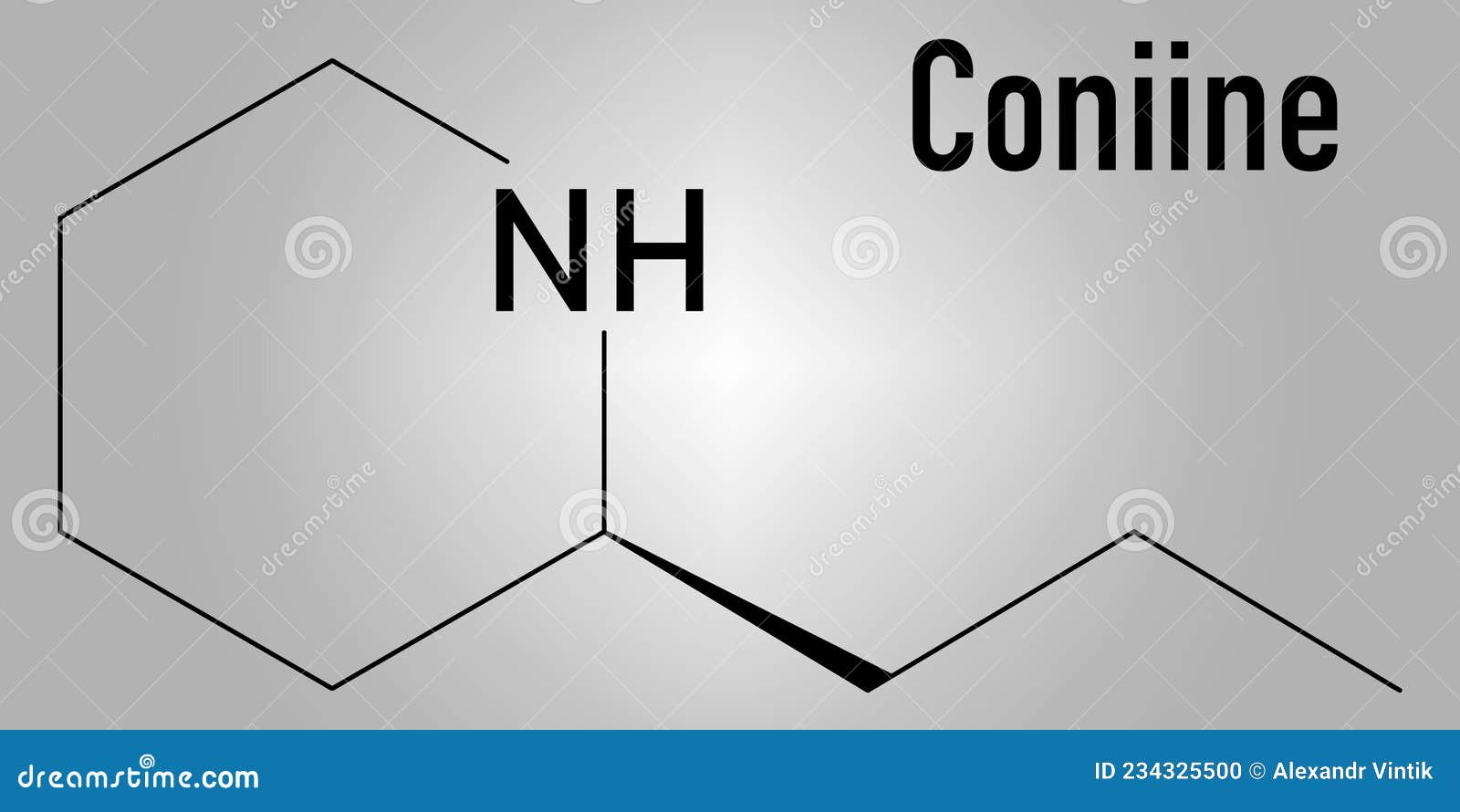 Coniine Herbal Toxin Molecule. Present In Poison Hemlock Conium ...