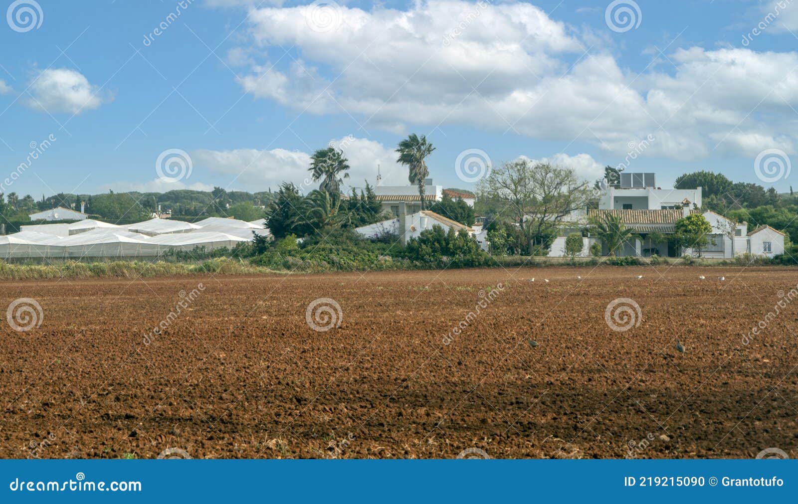 Conil de la frontera foto de stock. Imagem de claro - 219215090 Conil de la frontera foto de stock. Imagem de claro - 219215090
