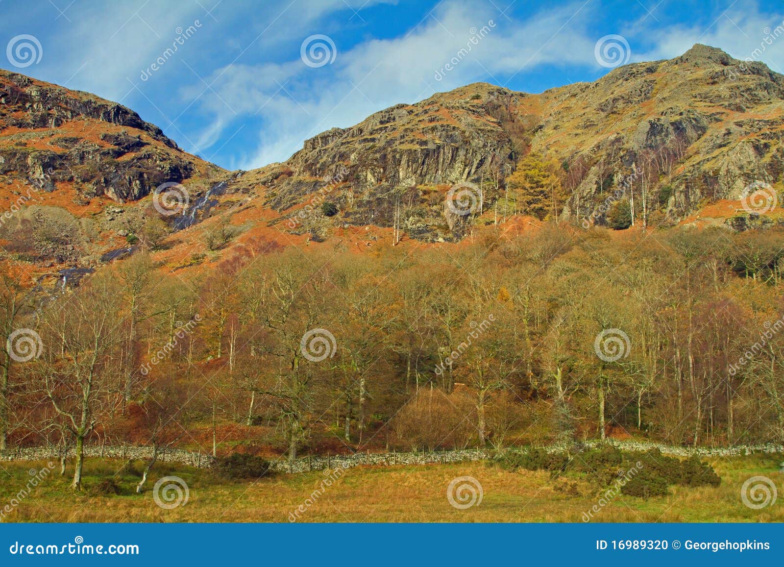 Coniston Fells Picture. Image: 16989320