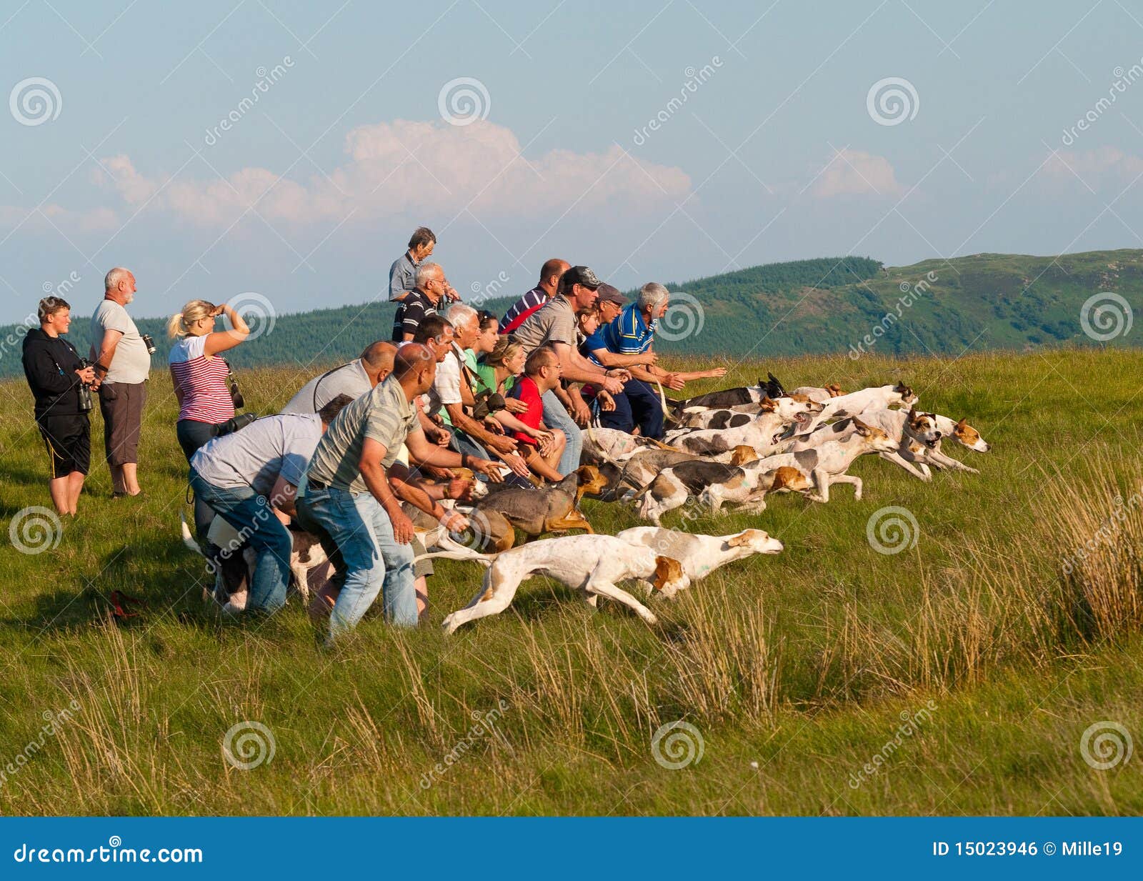 Coniston Hound Trail slip editorial photo. Image of country - 15023946