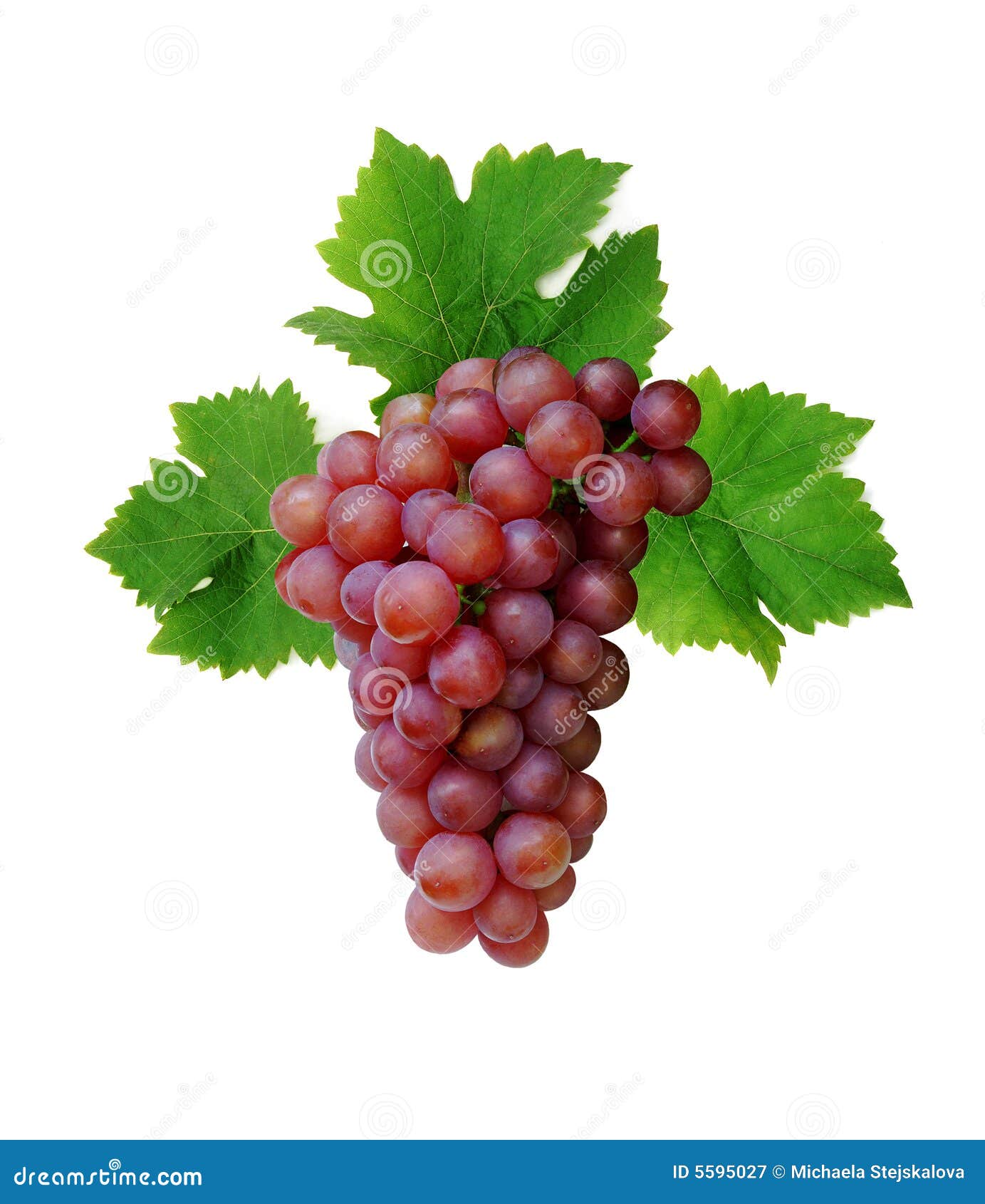 Conjunto Cor-de-rosa Da Uva Imagem de Stock - Imagem de naughty, fundo ...