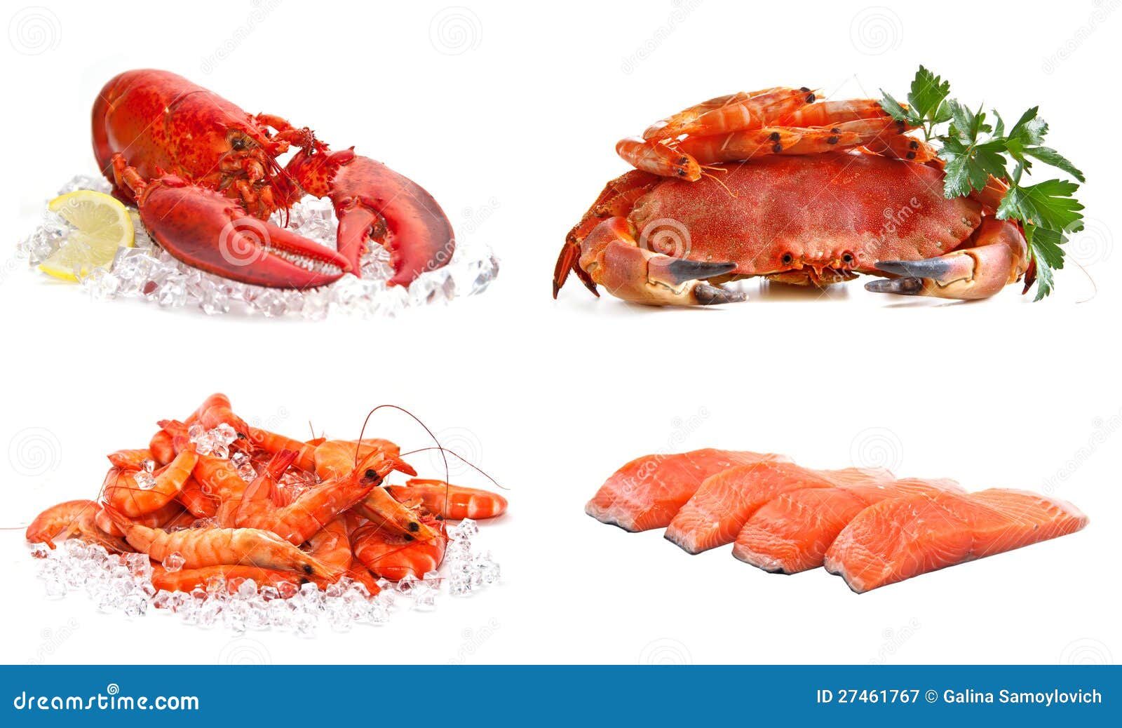 Conjunto De Alimento De Mar Imagen de archivo - Imagen de gamba ...