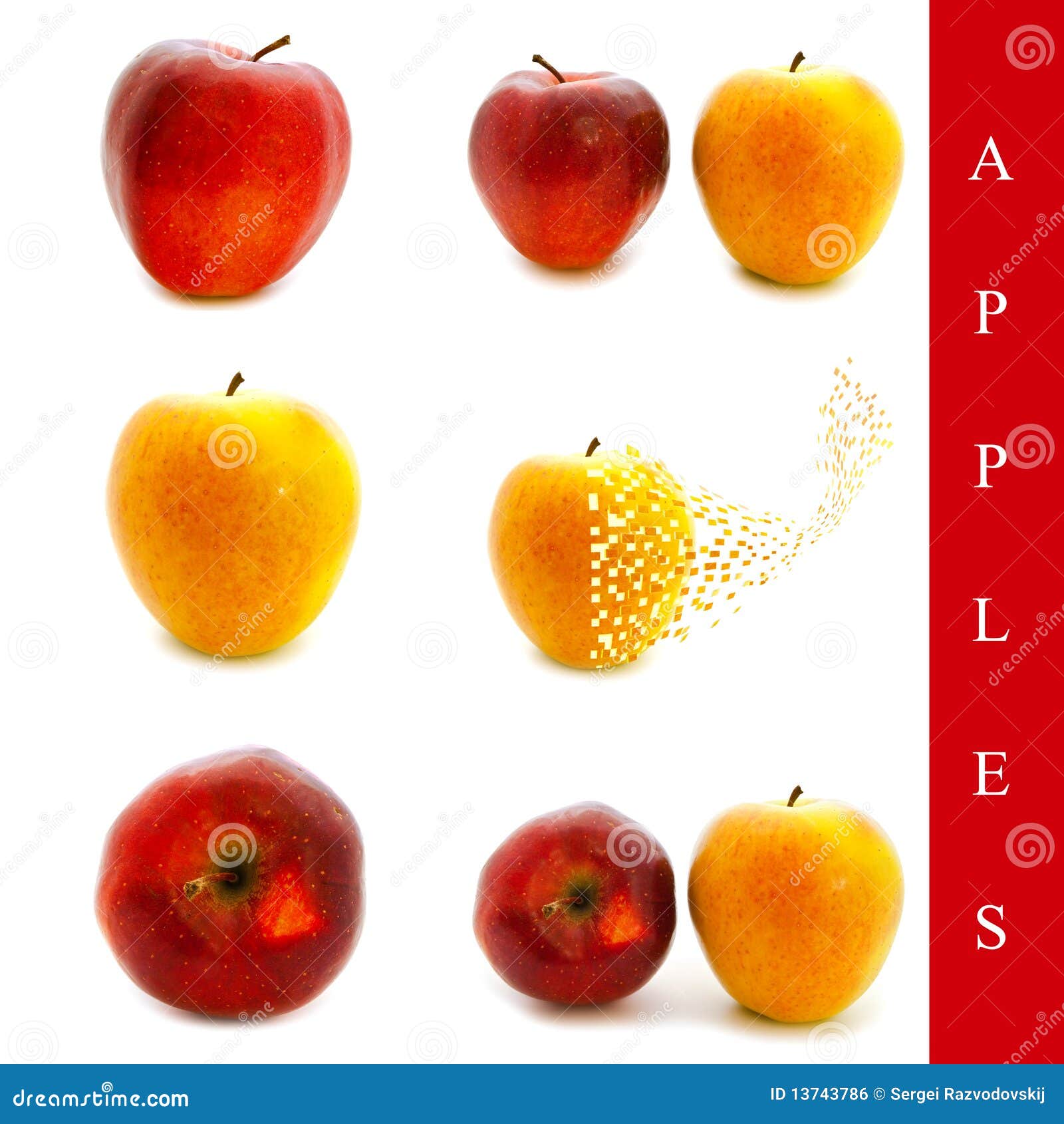 Conjunto de Apple foto de archivo. Imagen de rebanada - 13743786