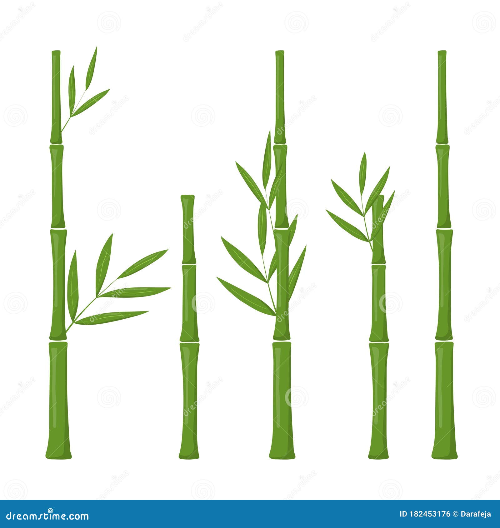 Conjunto De Bambu Vetor Isolado Em Branco Ilustração do Vetor ...