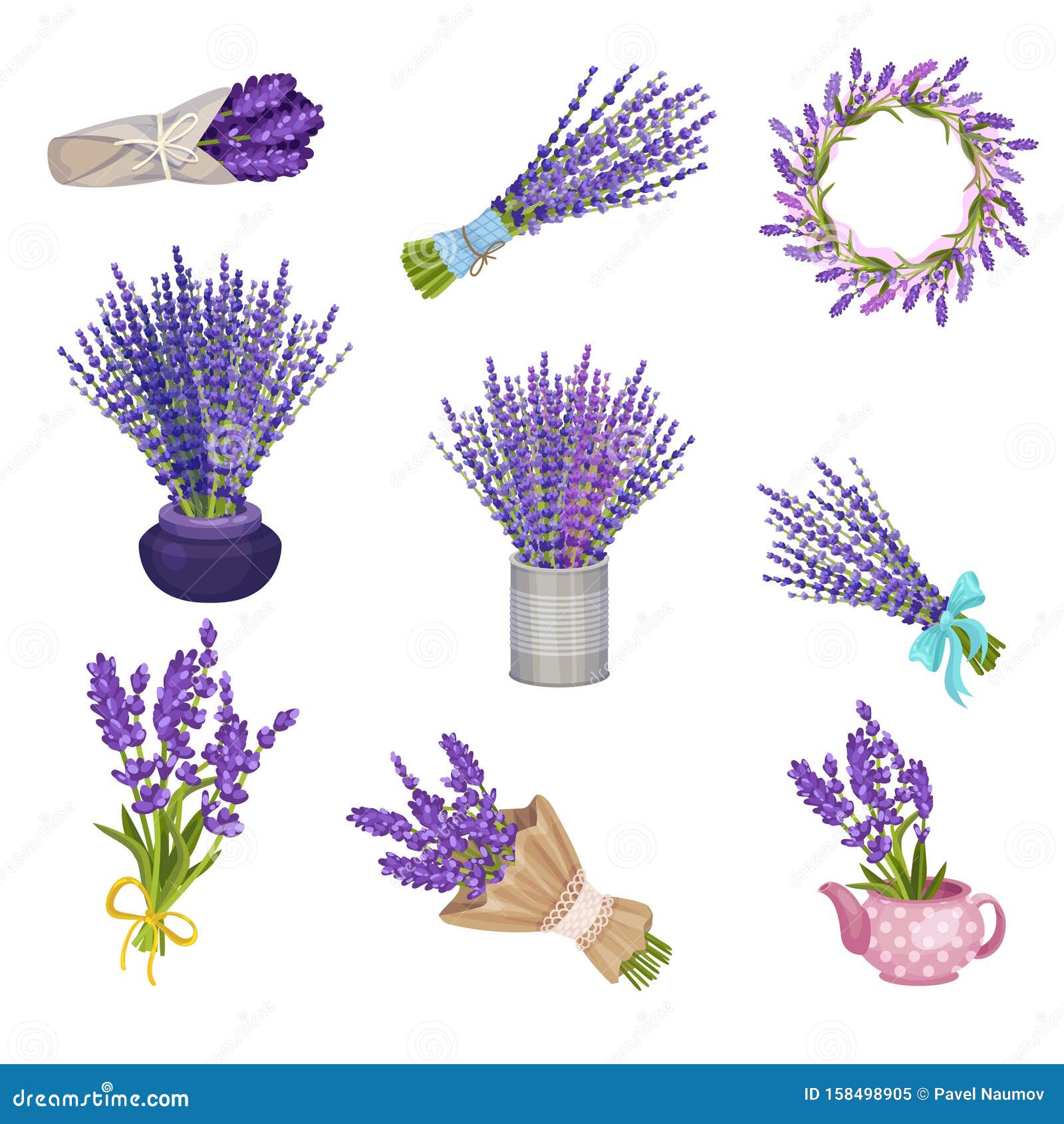 Conjunto De Composiciones De Lavanda. IlustraciÃ³n Del Vector ...