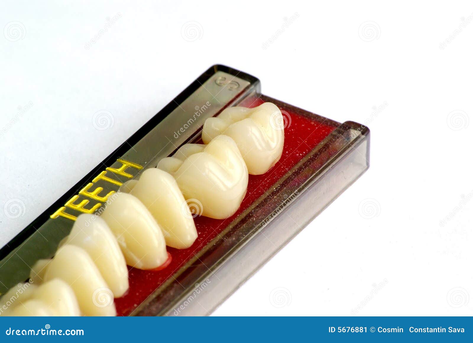 Conjunto De Dientes Artificiales Imagen de archivo - Imagen de técnico ...