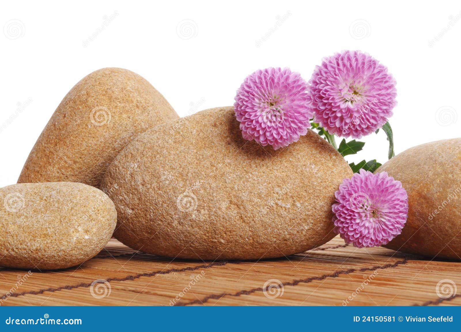 Conjunto De Flores En Piedra Imagen de archivo - Imagen de piedra, flor ...