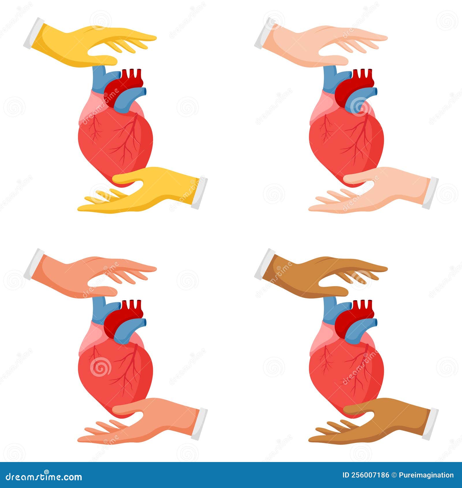 Conjunto De Gestos De Manos Con Corazón Humano Ilustración del Vector ...