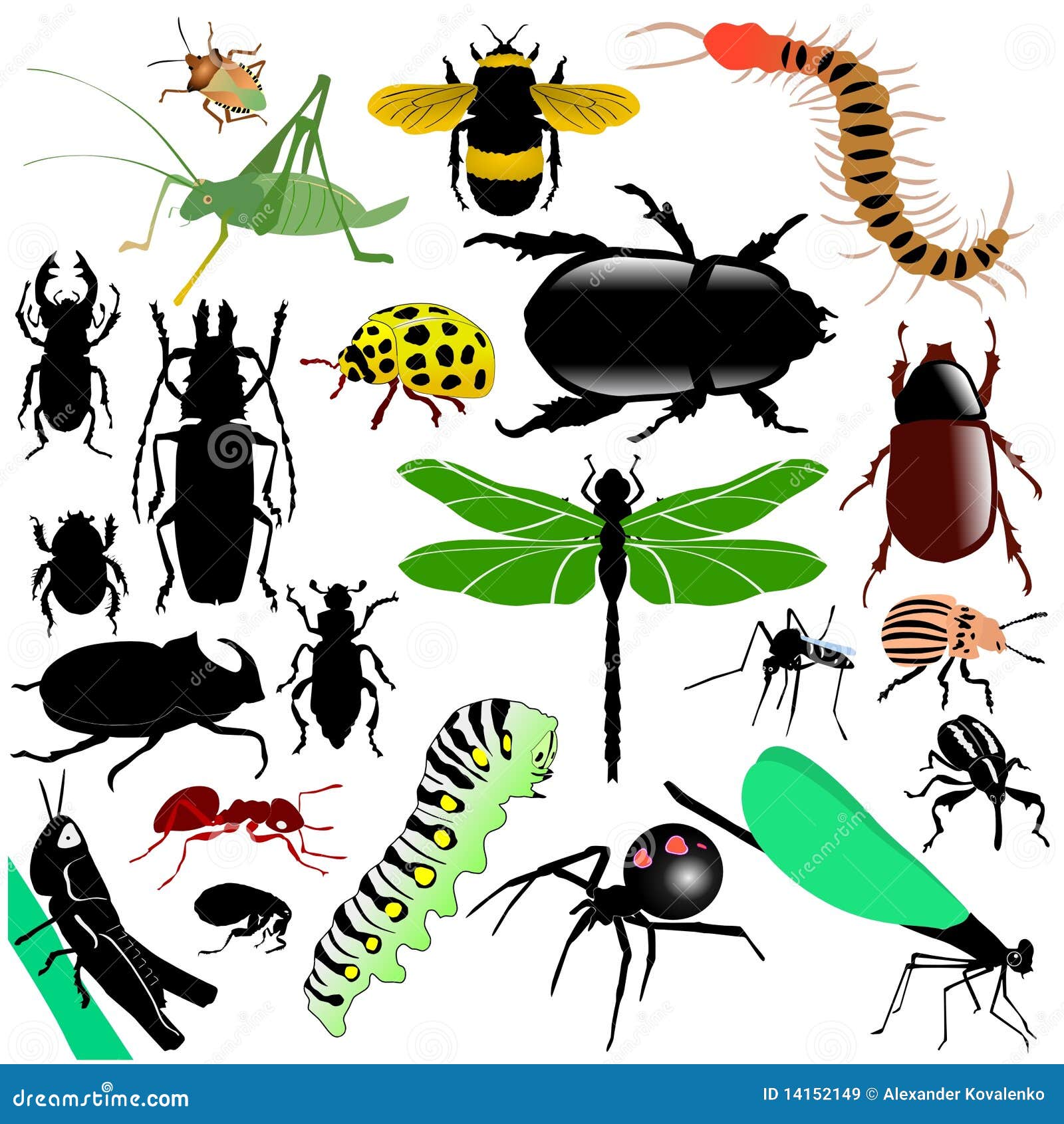 Conjunto de insectos ilustración del vector. Ilustración de rojo - 14152149