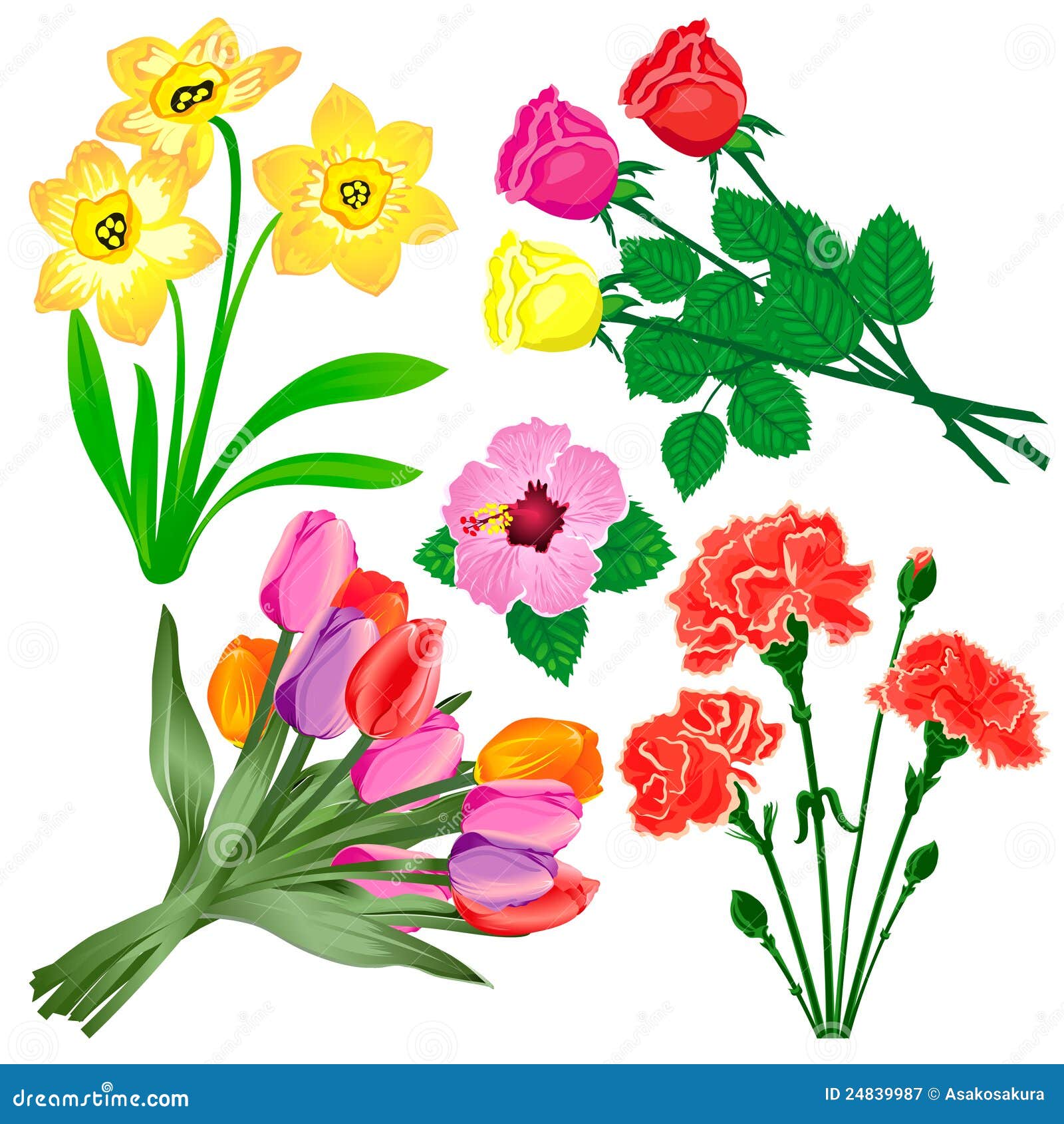 Conjunto De La Flor. Ilustración Del Vector Ilustración del Vector ...