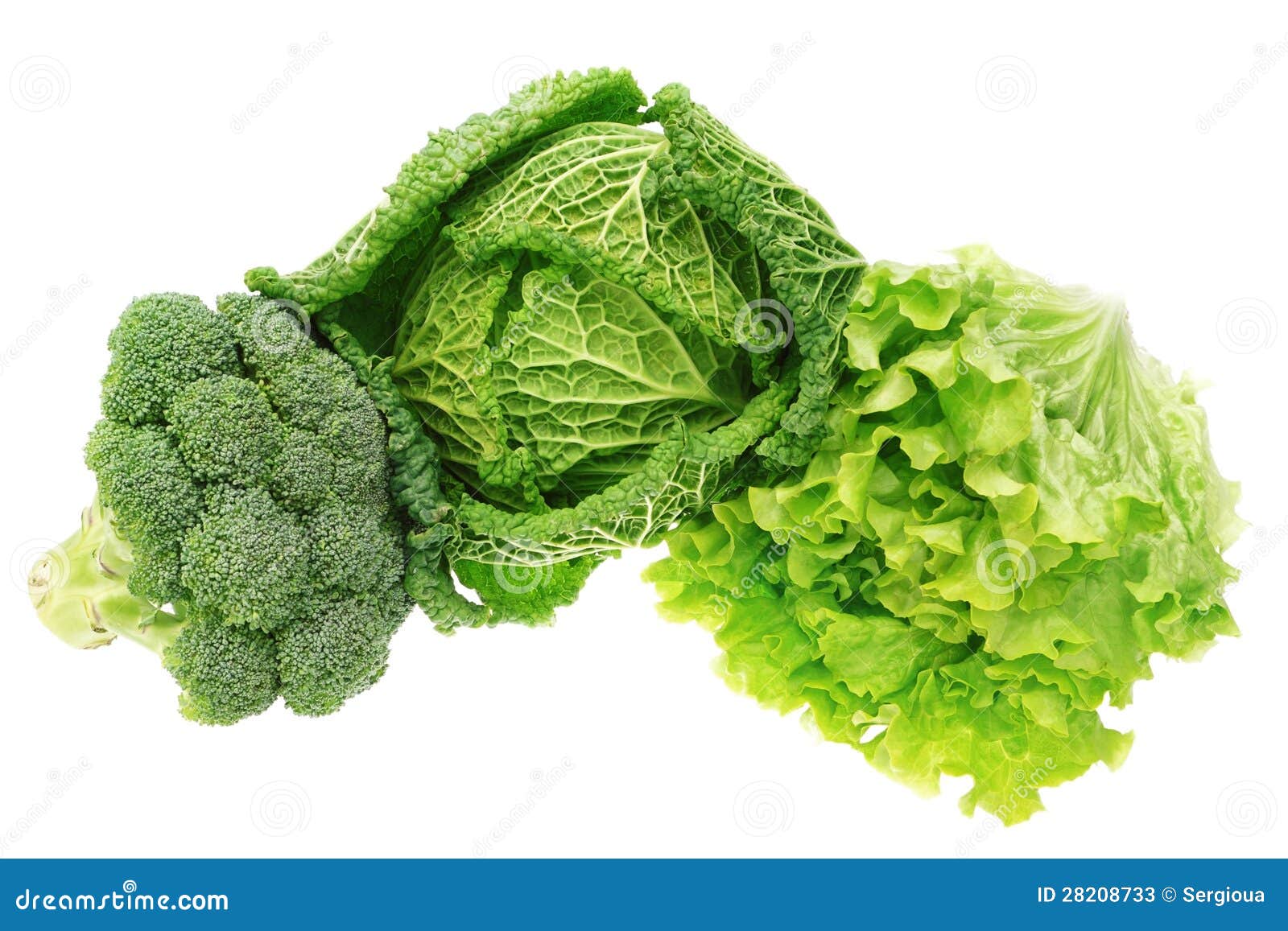 Conjunto De Las Verduras Col, Lechuga, Bróculi. Imagen de archivo ...