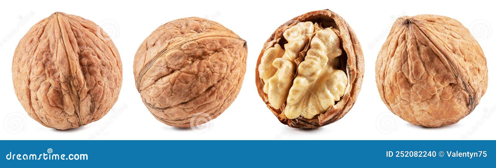 Conjunto De Nueces Aisladas En Fondo Blanco Foto de archivo - Imagen de ...
