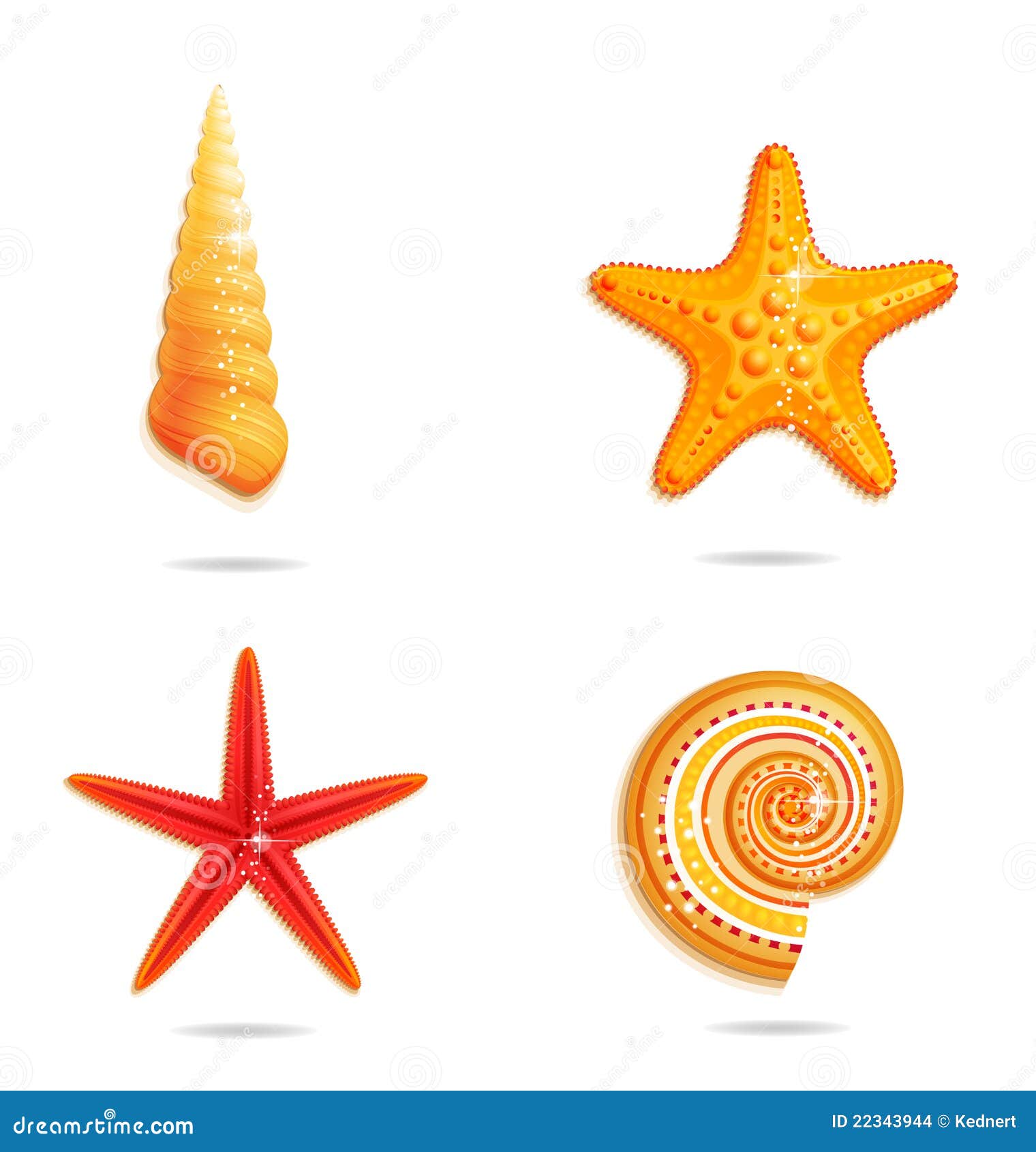 Conjunto De Símbolos Tropical Del Mar En El Blanco Stock de ilustración ...