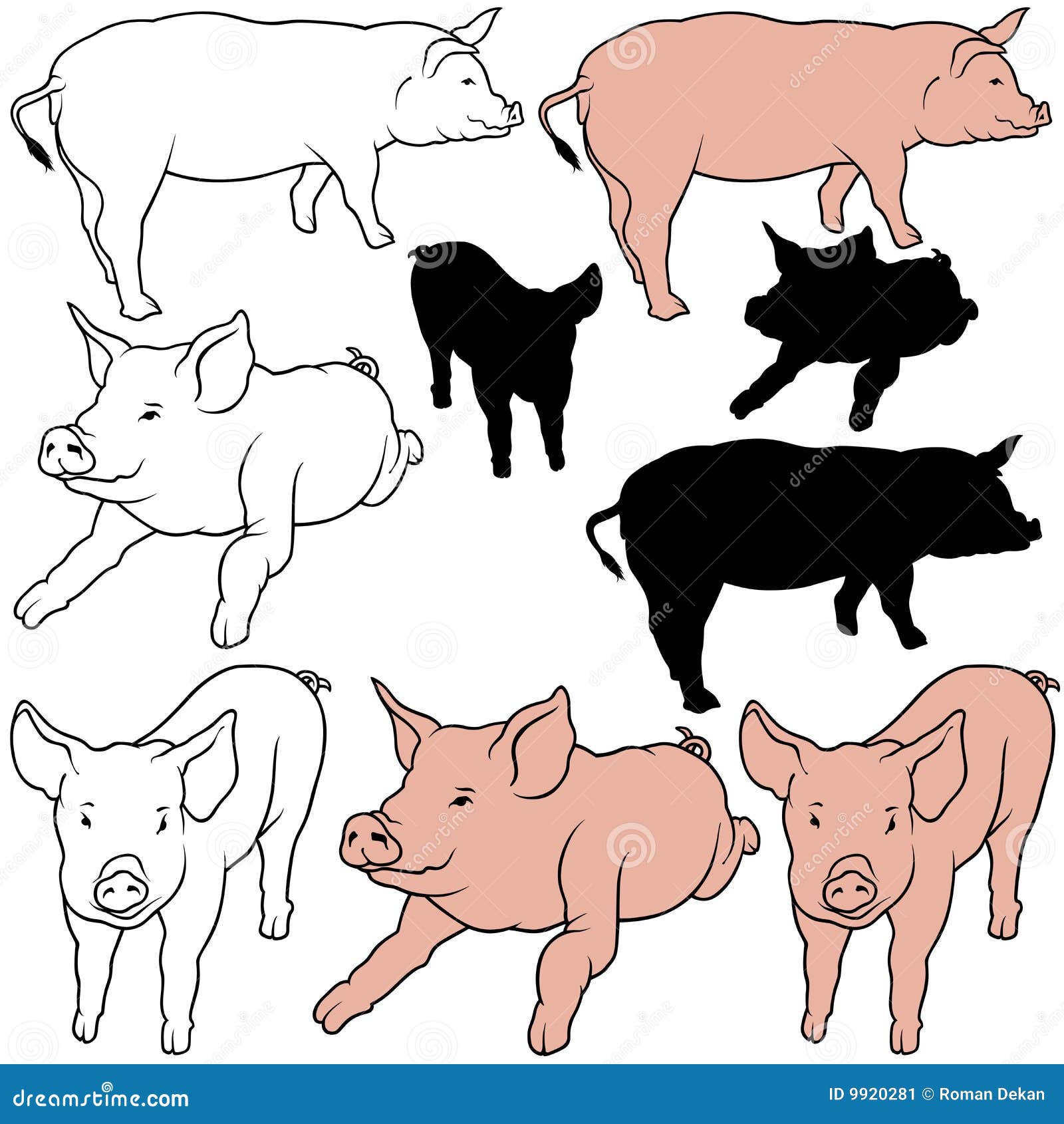 Conjunto del cerdo ilustración del vector. Ilustración de arte - 9920281