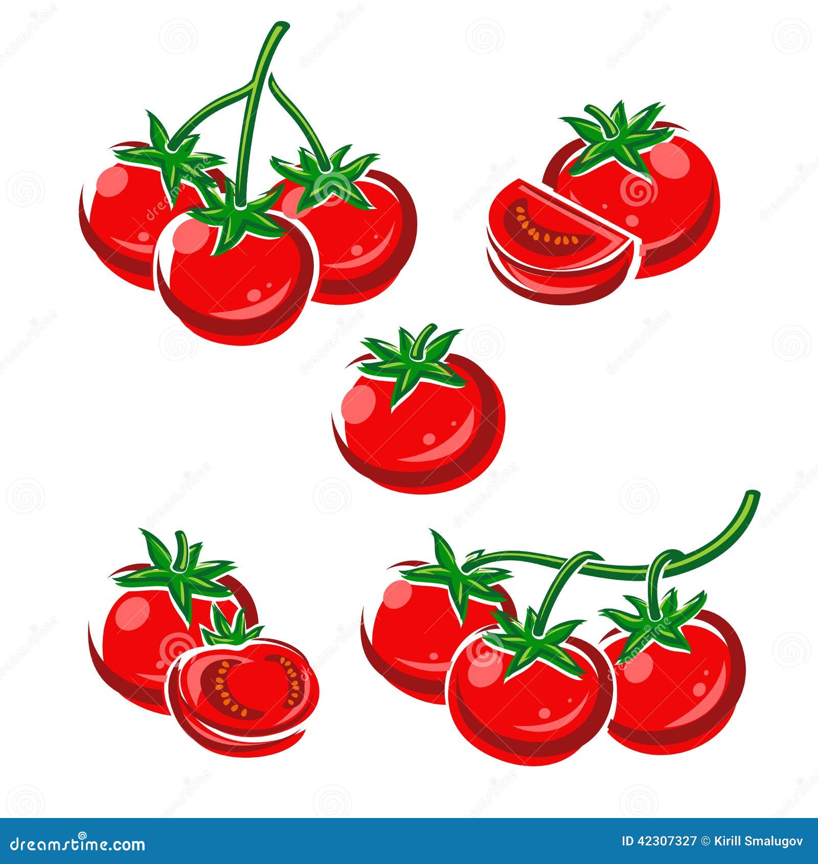 Conjunto del tomate Vector ilustración del vector. Ilustración de ...