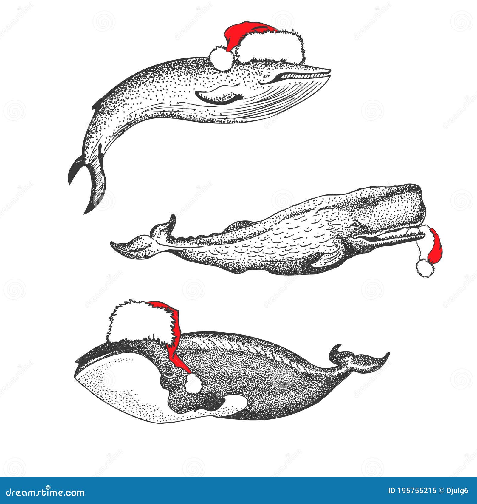 Conjunto Gráfico De Ballenas En Santa Claus Sombrero Aislado En Fondo ... Conjunto Gráfico De Ballenas En Santa Claus Sombrero Aislado En Fondo ...