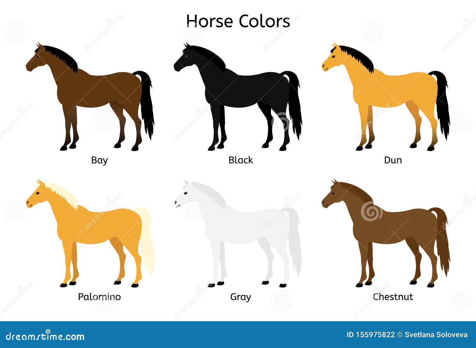 Conjunto Plano Vectorial De Diferentes Colores De Caballo Ilustración ...