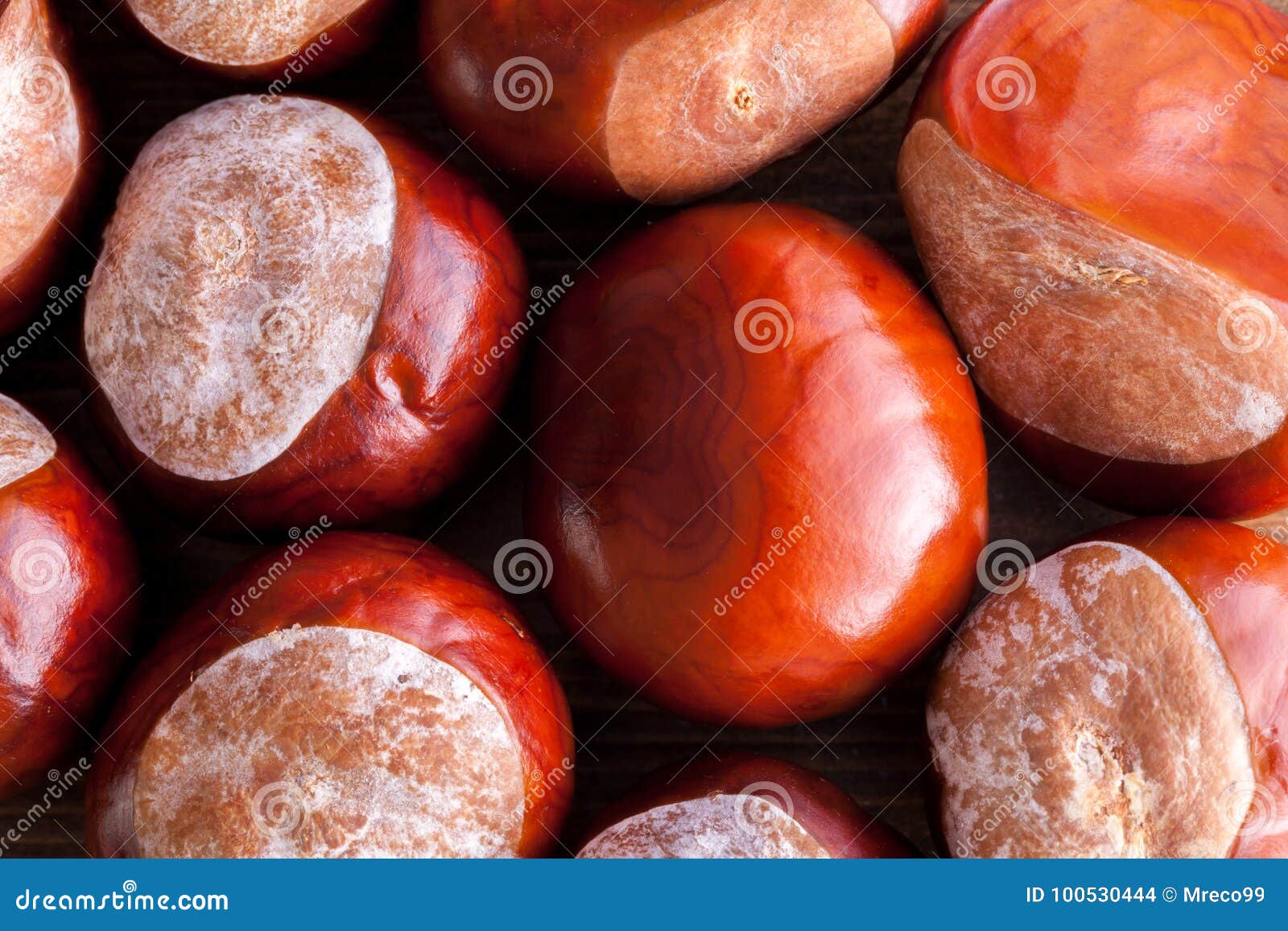 Conker pile close up view stock photo. Image of pattern - 100530444
