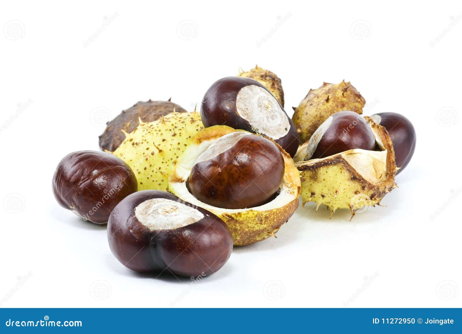 Conkers stock photo. Image of whte, shot, arrangement - 11272950
