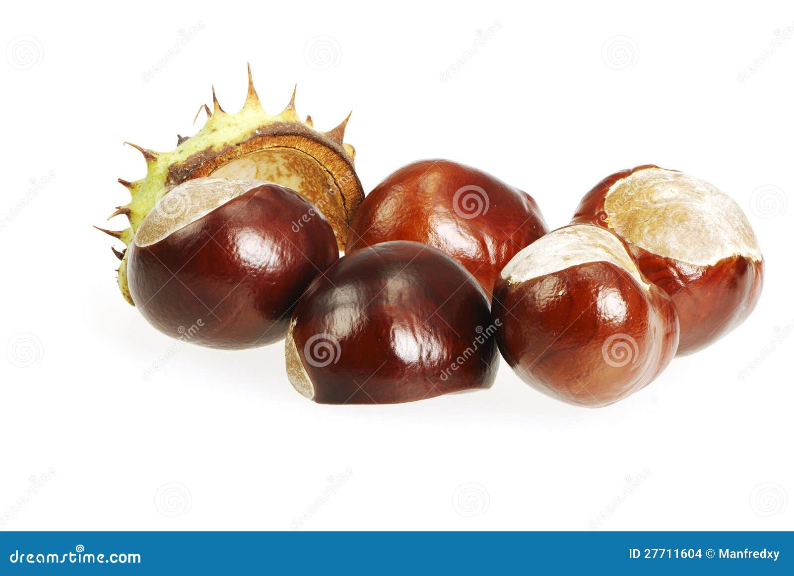 Conkers stock photo. Image of conkers, chestnut, nature - 27711604