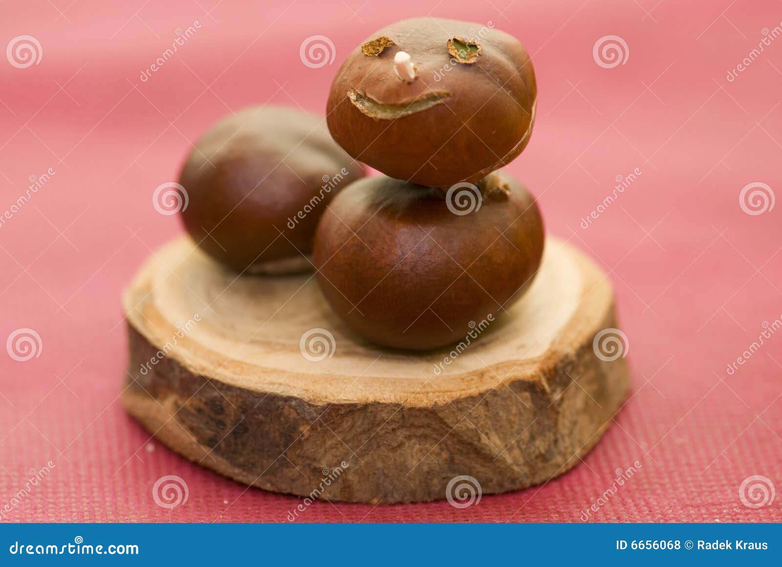 Conkers figure stock photo. Image of nature, affection - 6656068