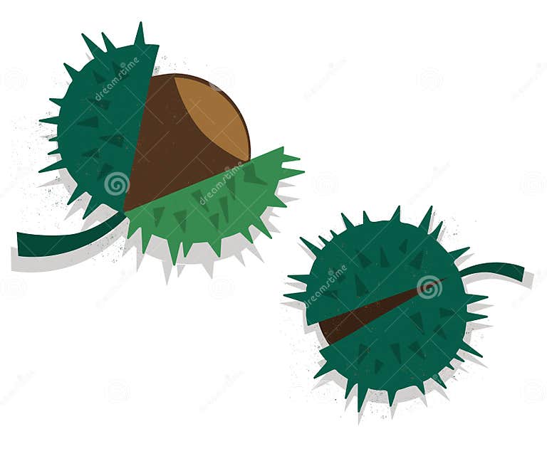 Conkers stock vector. Illustration of flora, nature, food - 49756519