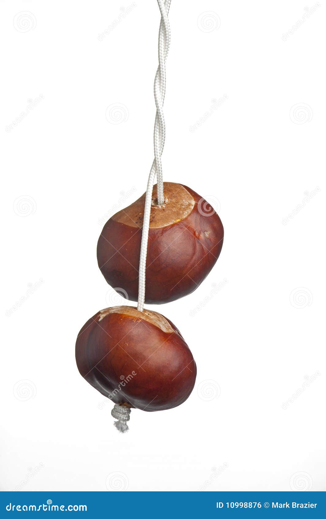 Conkers on string stock photo. Image of challenge, conquer - 10998876